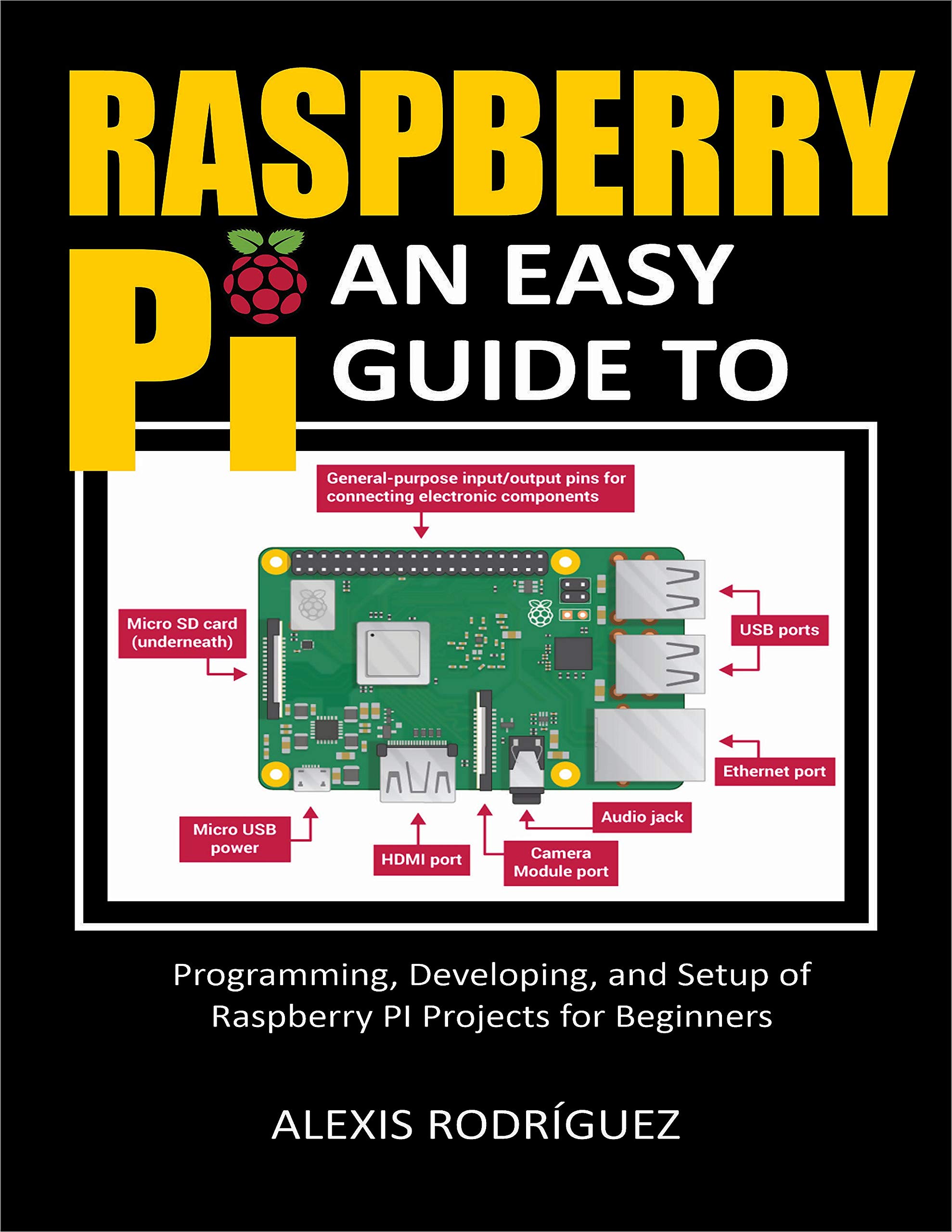 Raspberry Pi: An Easy Guide to Programming, Developing, and Setup of ...