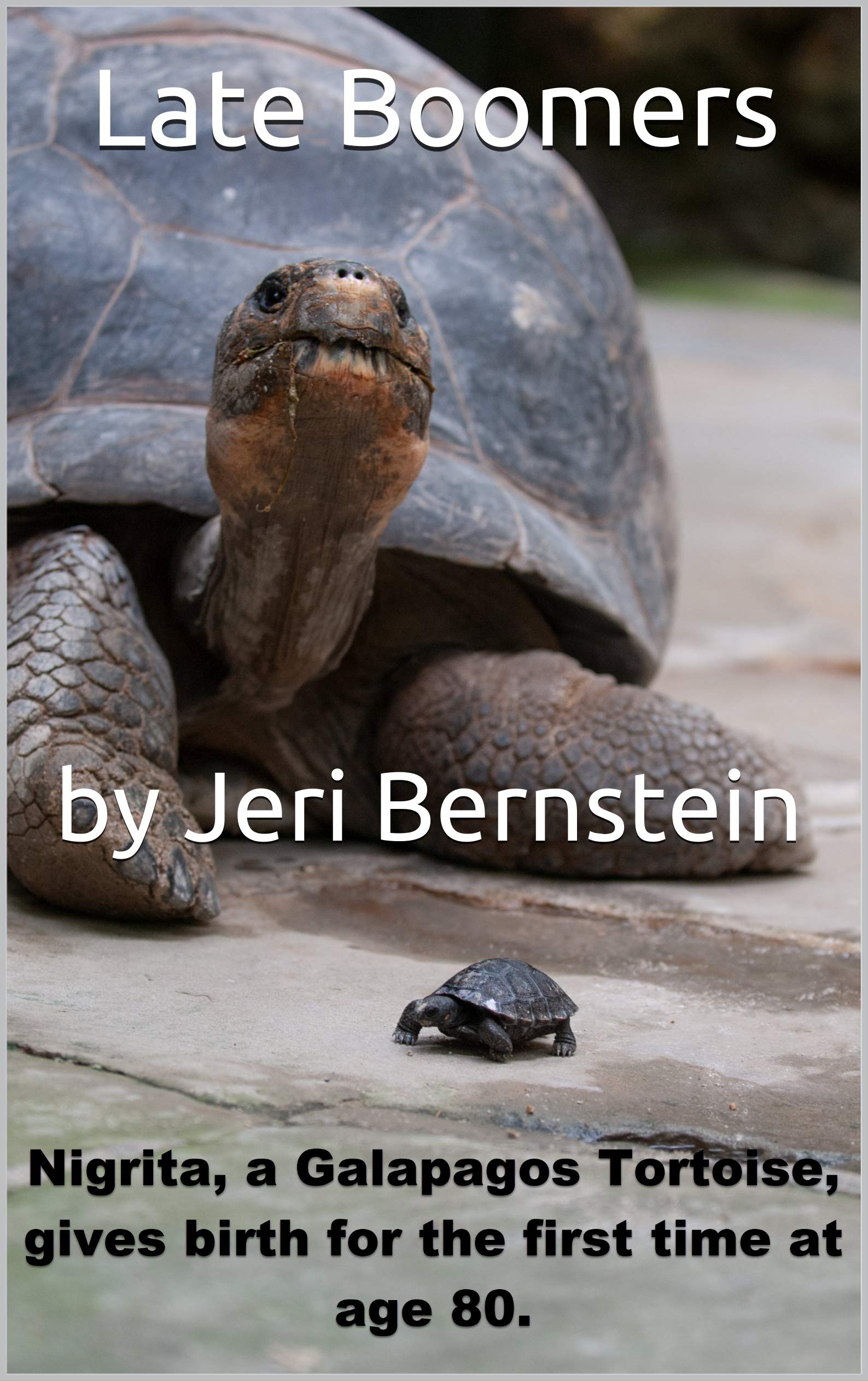 Late Boomers: From Retirement to Inspirement. Aging doesn't mean ...