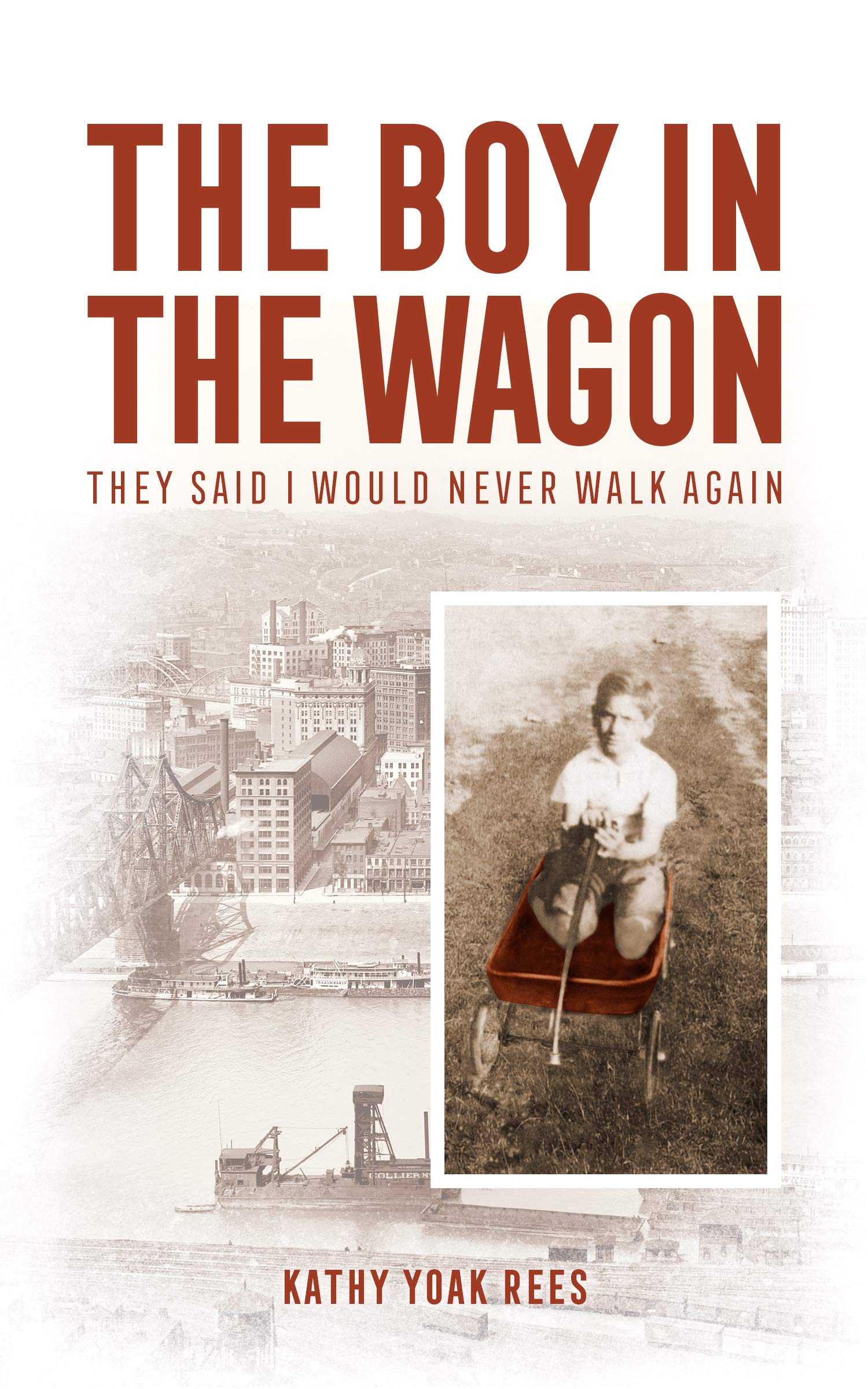 THE BOY IN THE WAGON: They Said I Would Never Walk Again by Kathy Rees ...
