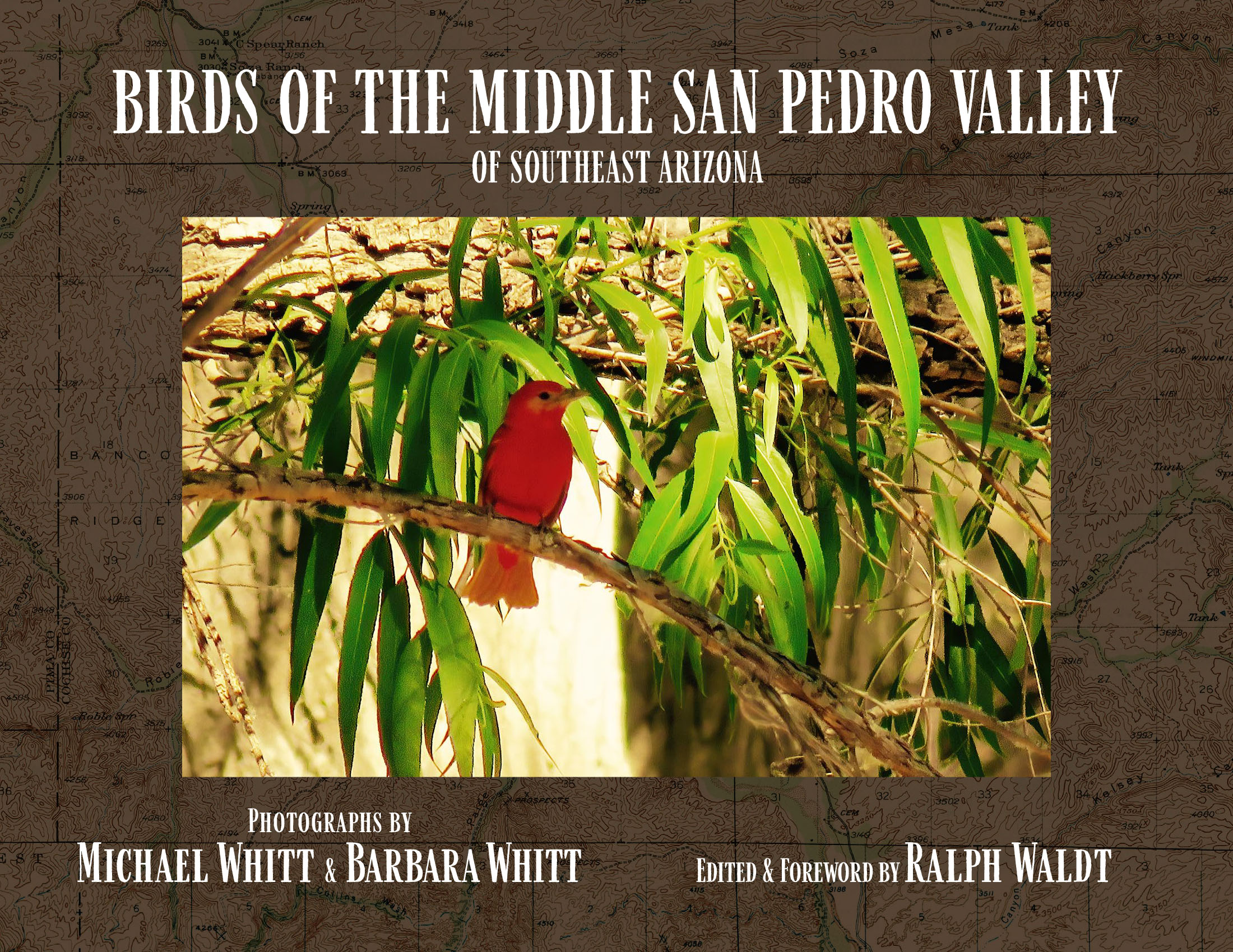 Birds of the Middle San Pedro Valley of Southeast Arizona by Michael ...