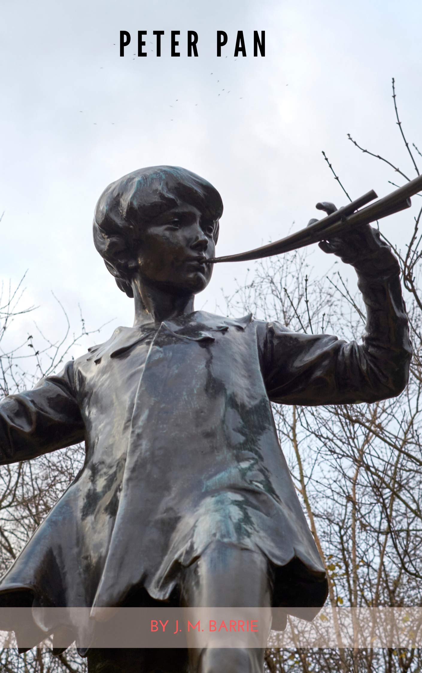 Peter Pan (illustrated) by J.M. Barrie | Goodreads