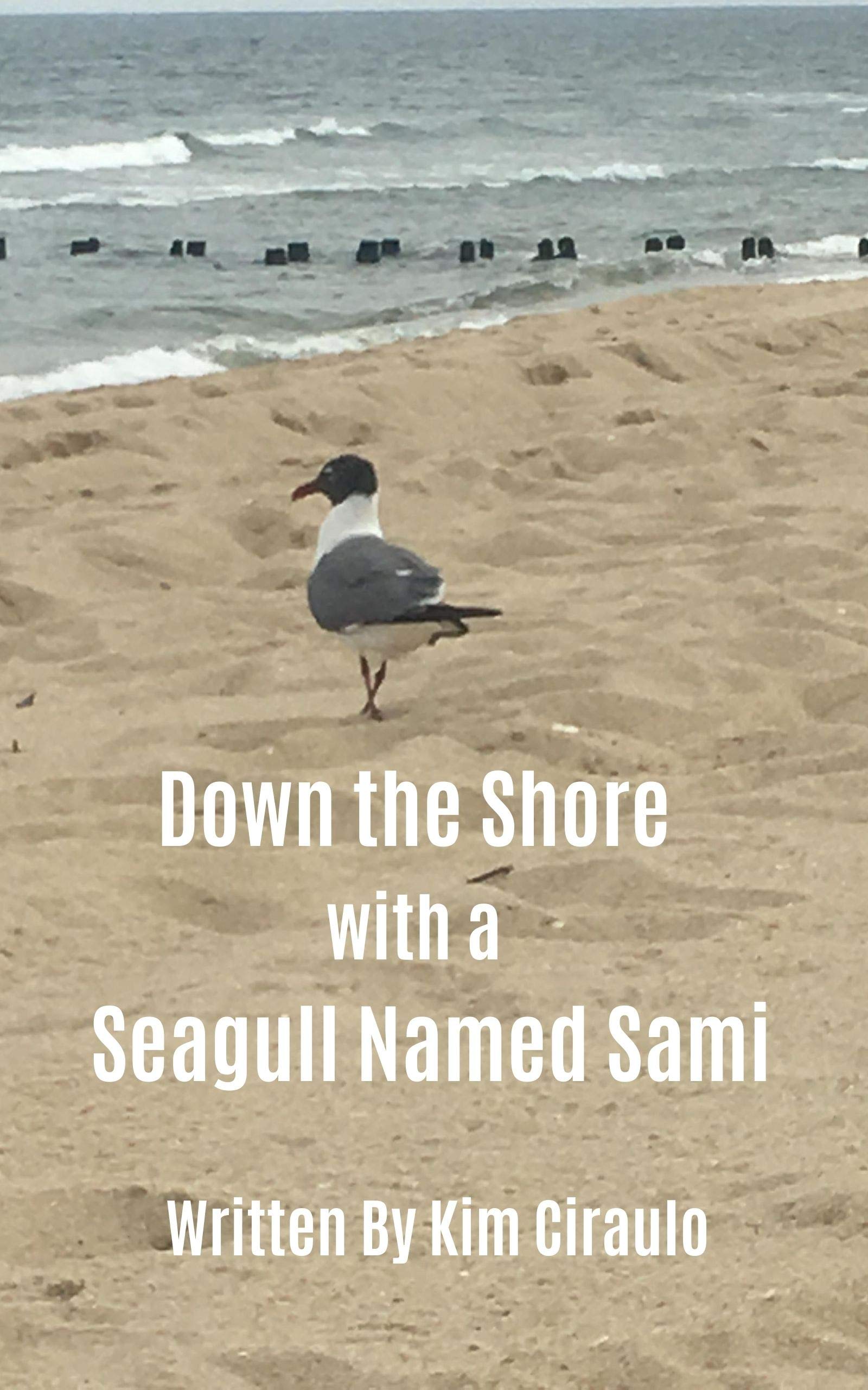 Down the Shore with a Seagull Named Sami: A Picture Book Story and ...
