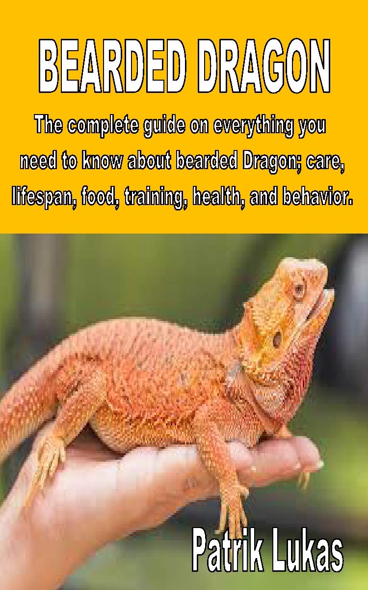 BEARDED DRAGON: The complete guide on everything you need to know about ...