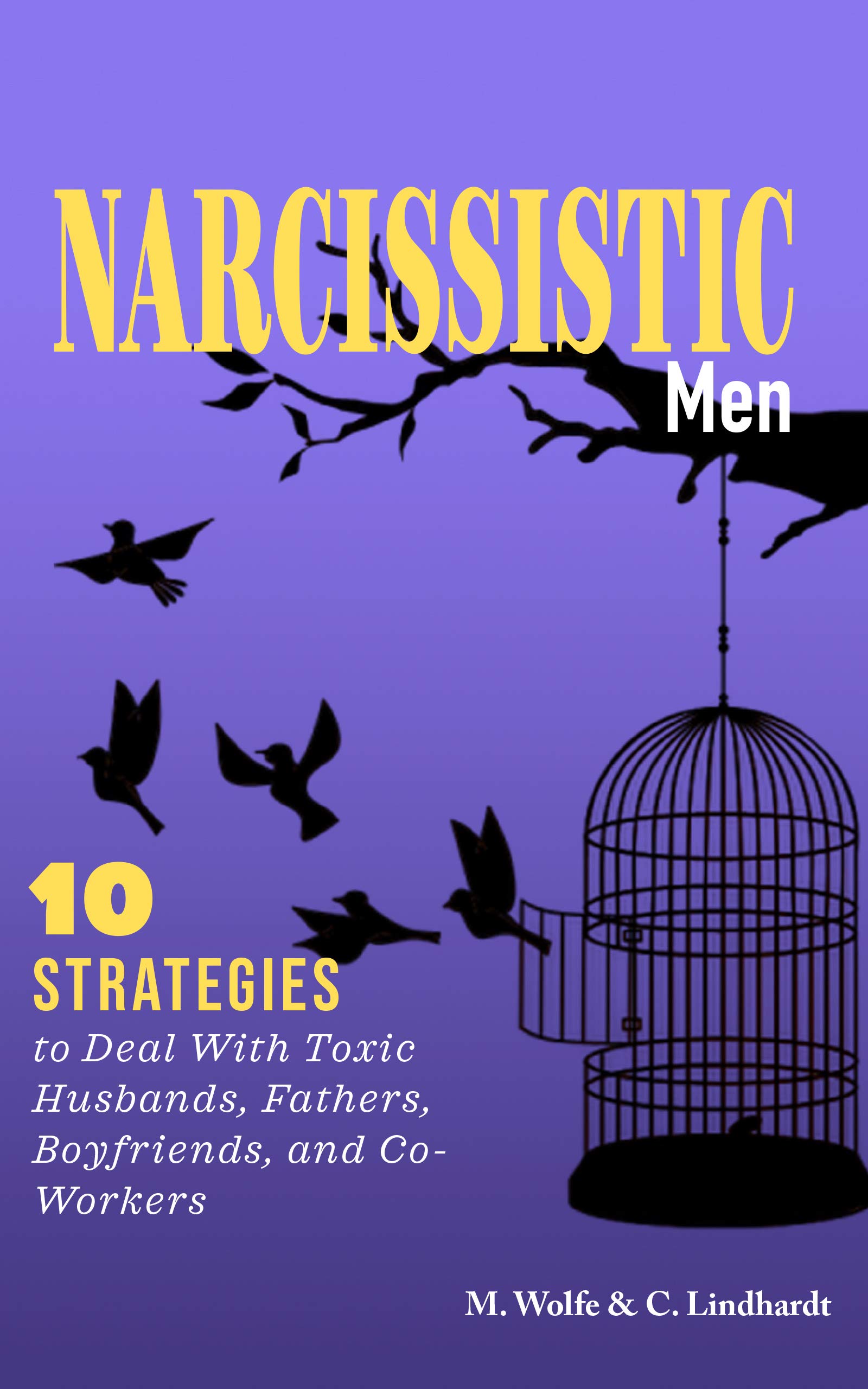 Narcissistic Men: 10 Strategies to Deal With Toxic Husbands, Fathers, Boyfriends, and Co-Workers ...