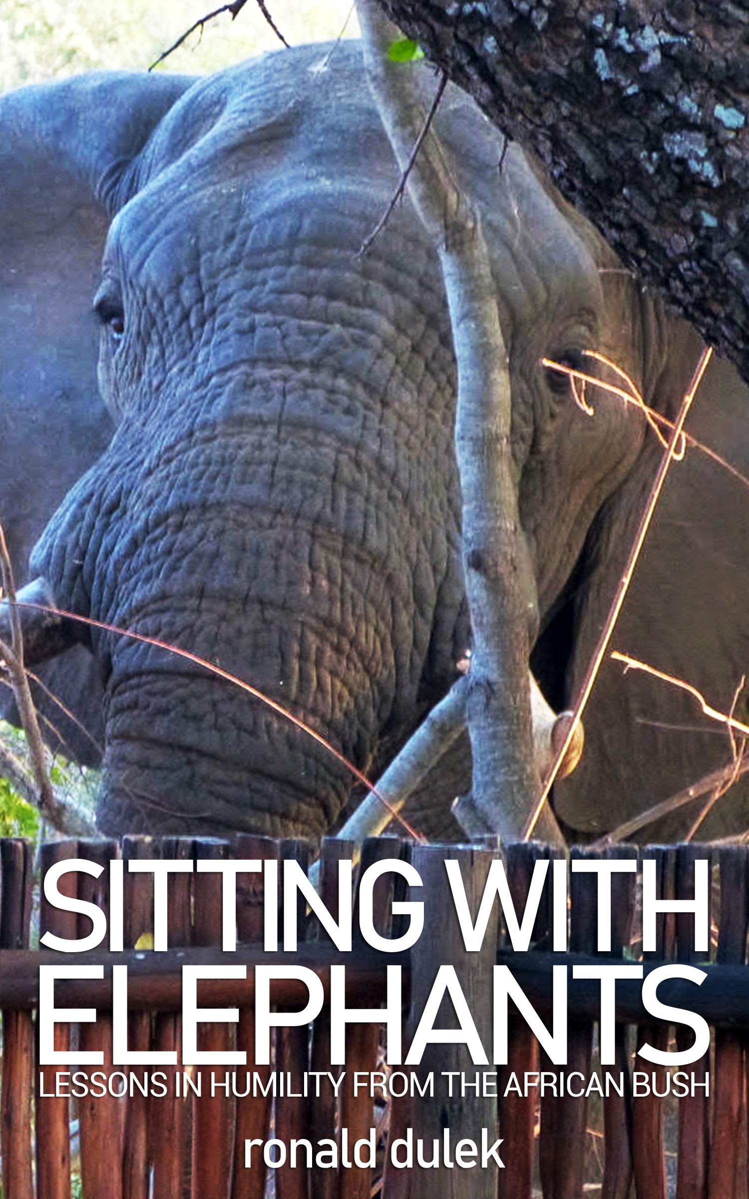 Sitting with Elephants: : Lessons in Humility from the African Bush by ...