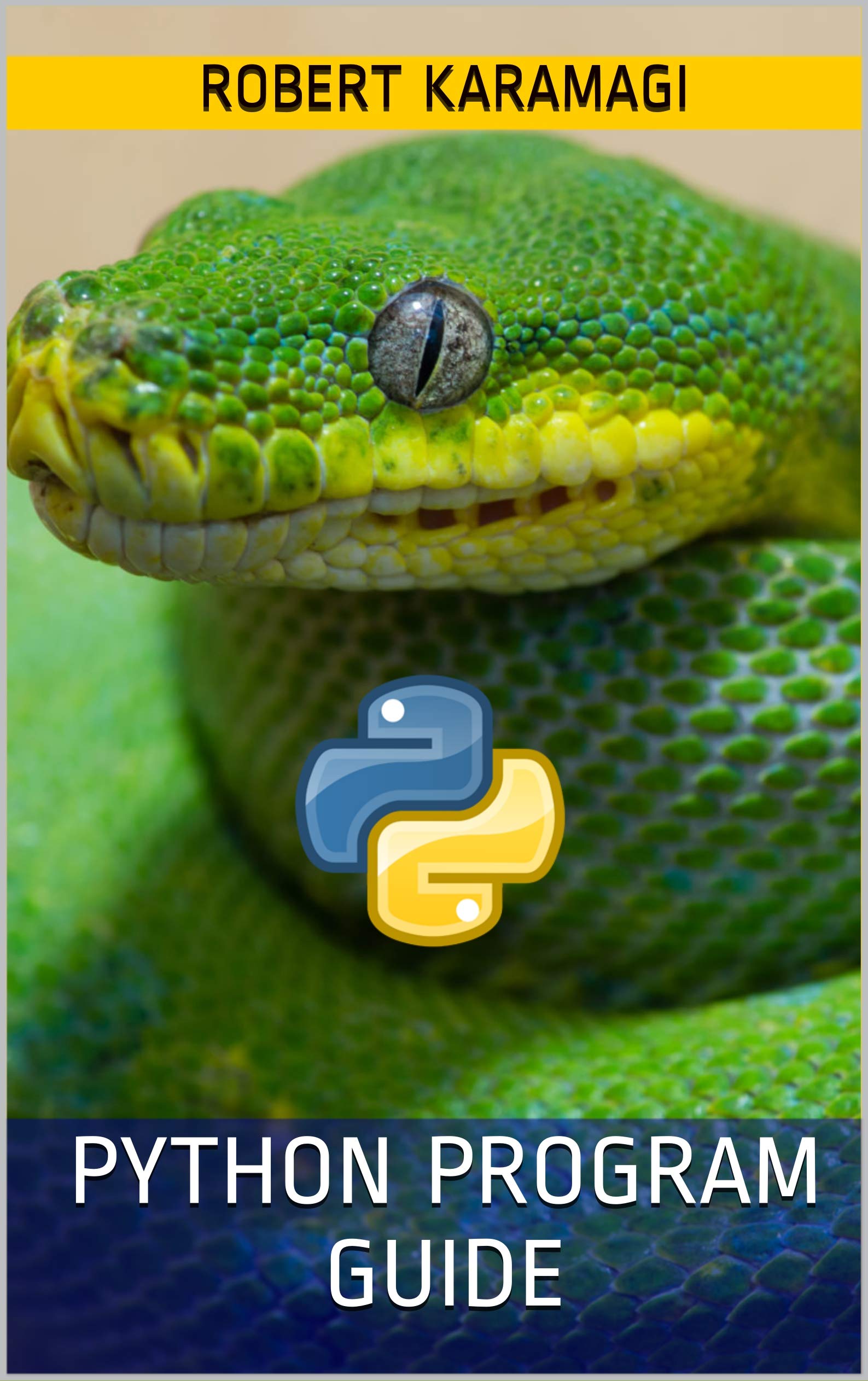 Python Program Guide by Robert Karamagi | Goodreads