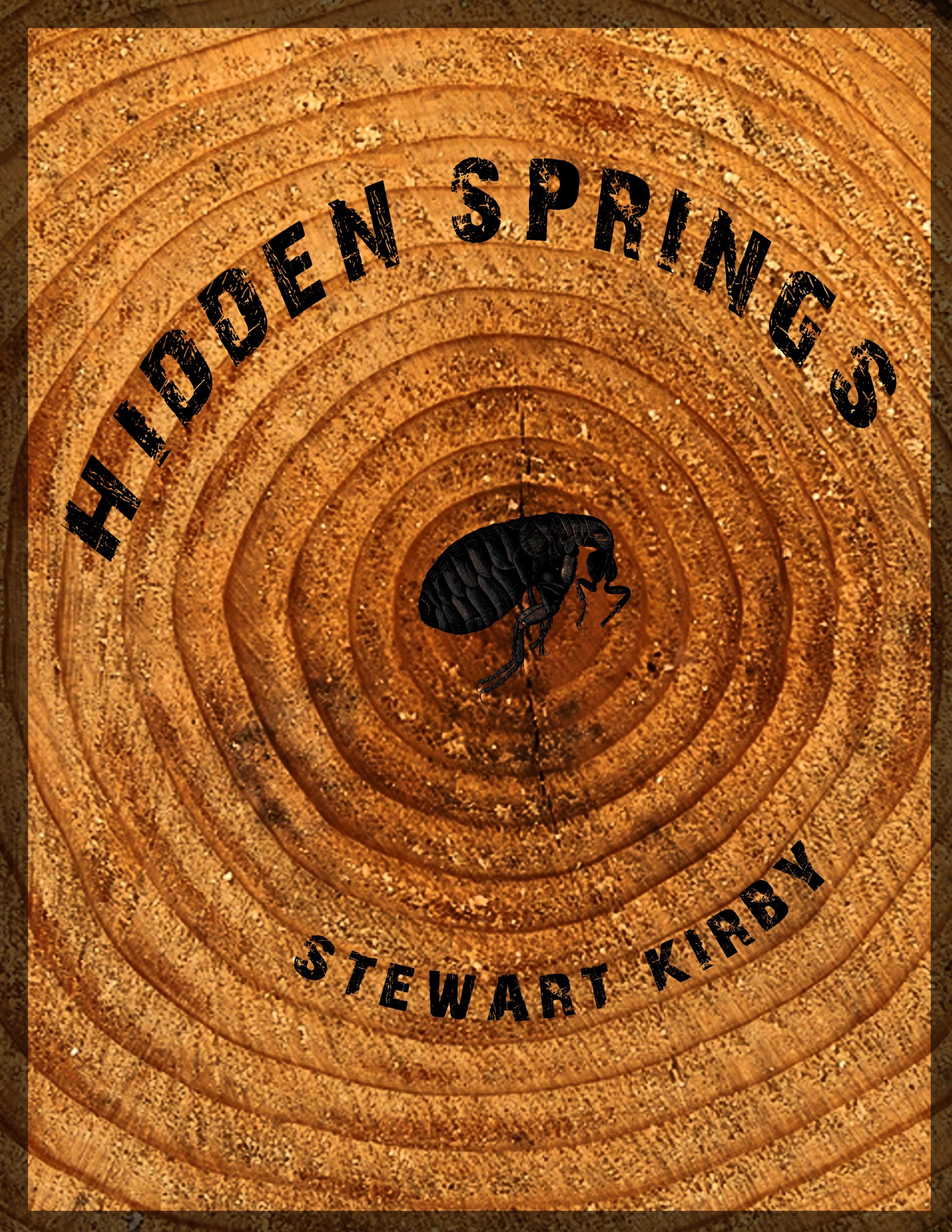HIDDEN SPRINGS by Stewart Kirby | Goodreads