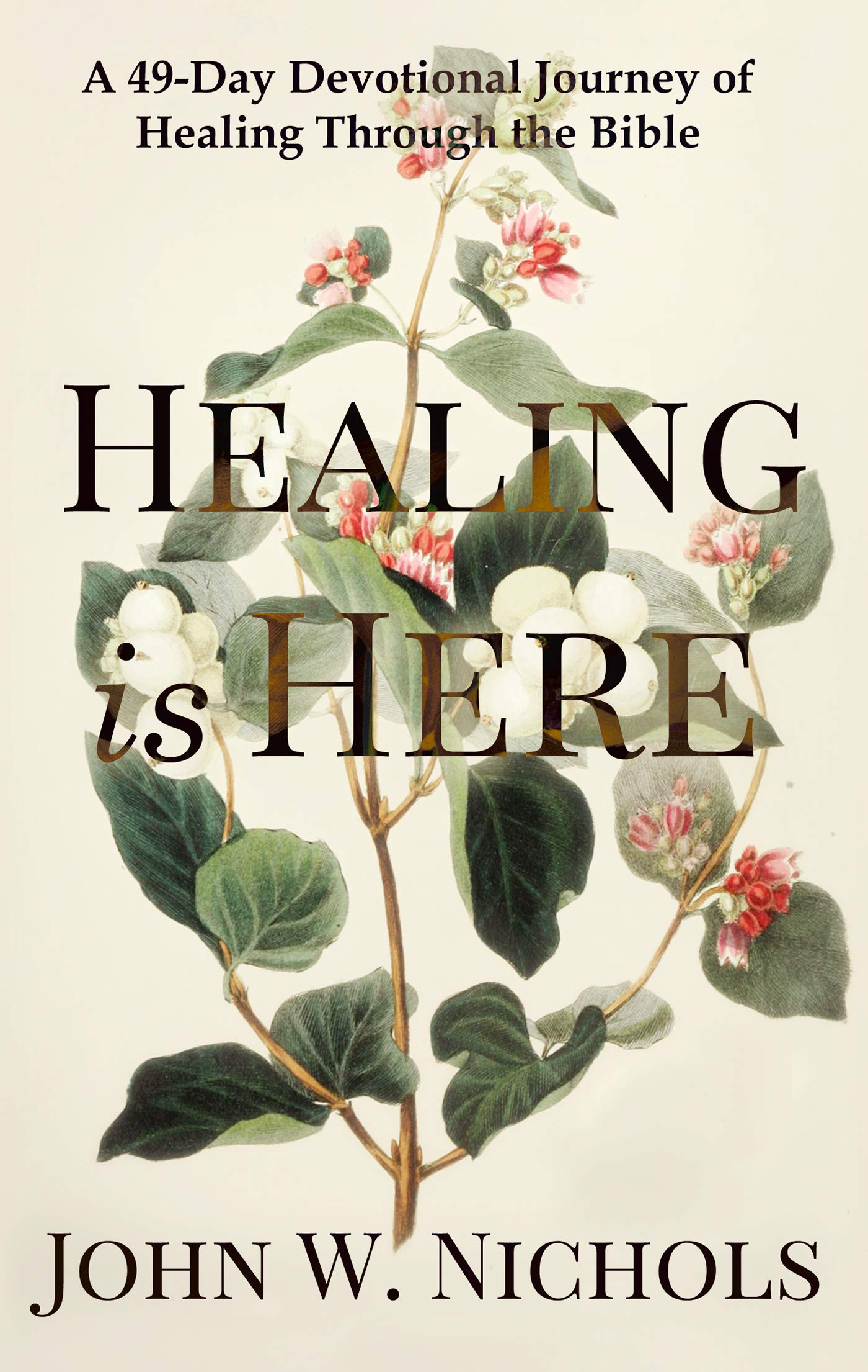 Healing is Here: A 49-Day Devotional Journey of Healing Through the ...