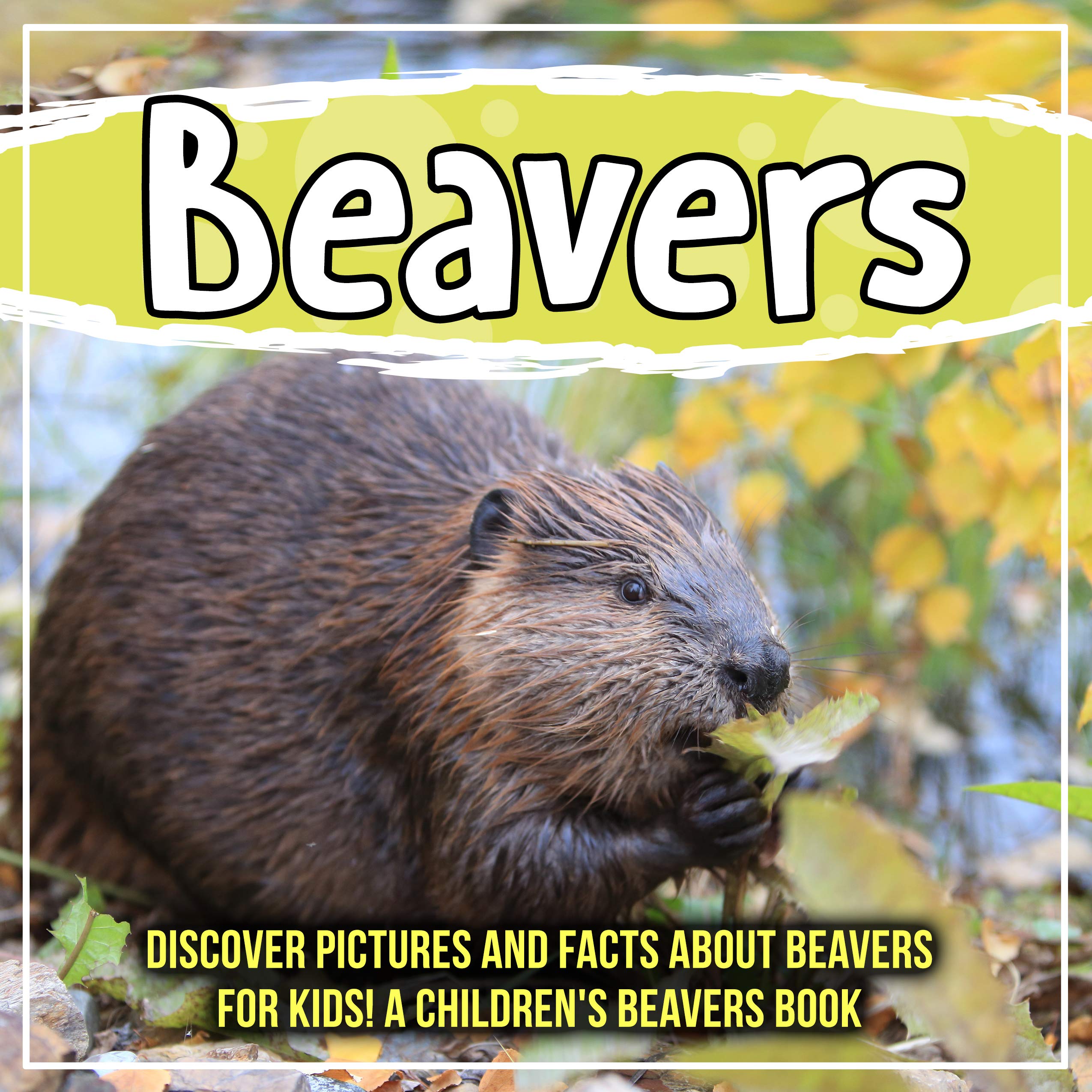 Beavers: Discover Pictures and Facts About Beavers For Kids! A Children ...