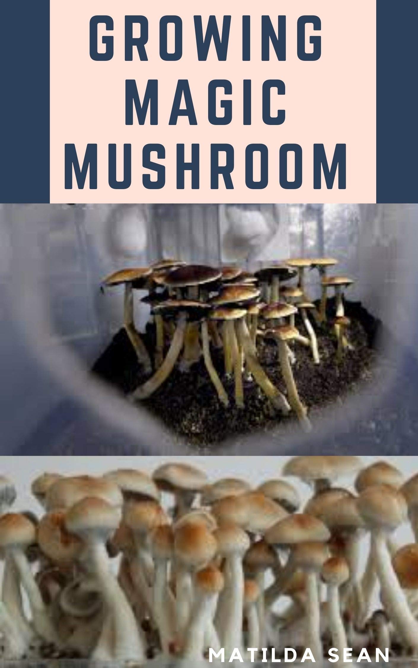 GROWING MAGIC MUSHROOM: Step by steps guide on how to decides, select ...