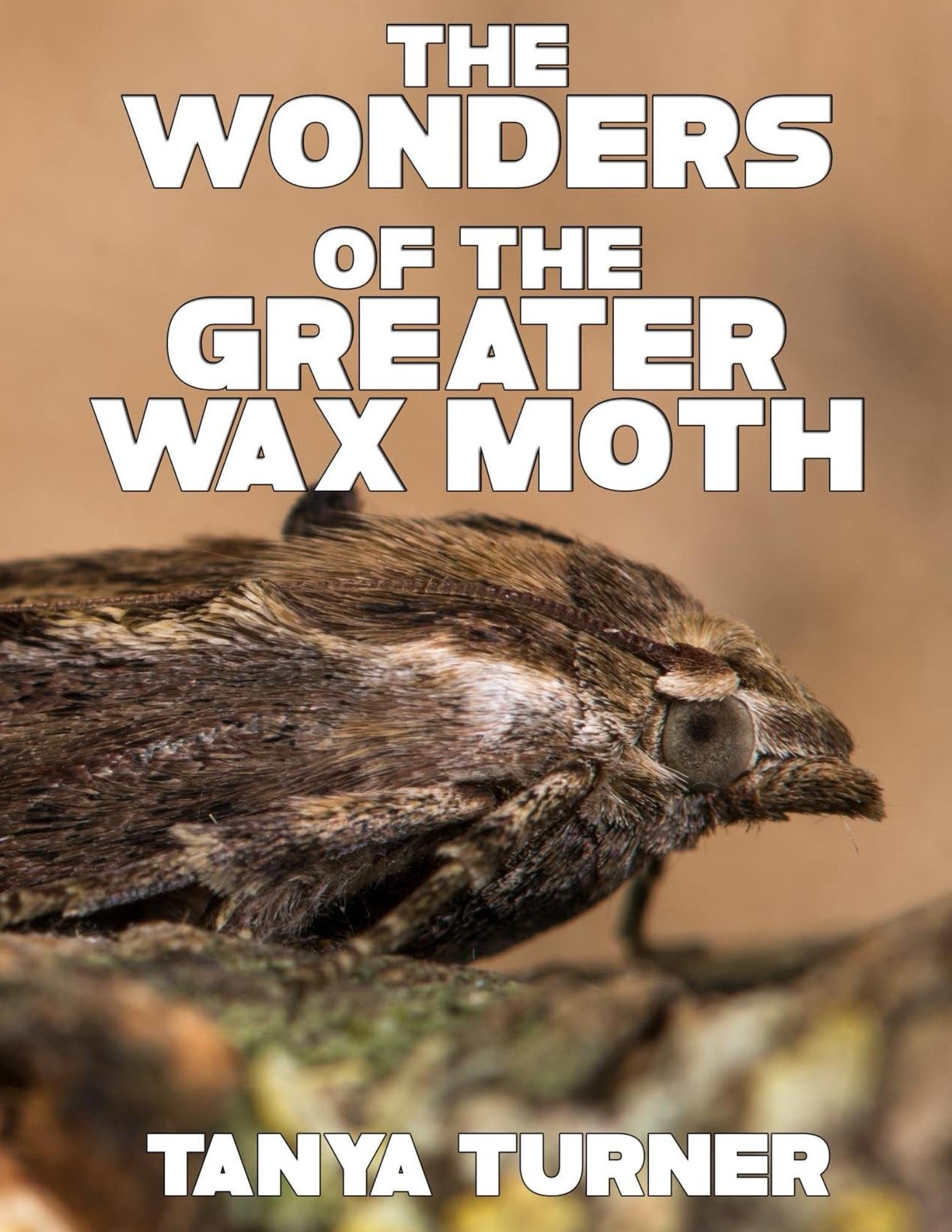 The Greater Wax Moth : Do Your Kids Know This? A Children's Picture ...