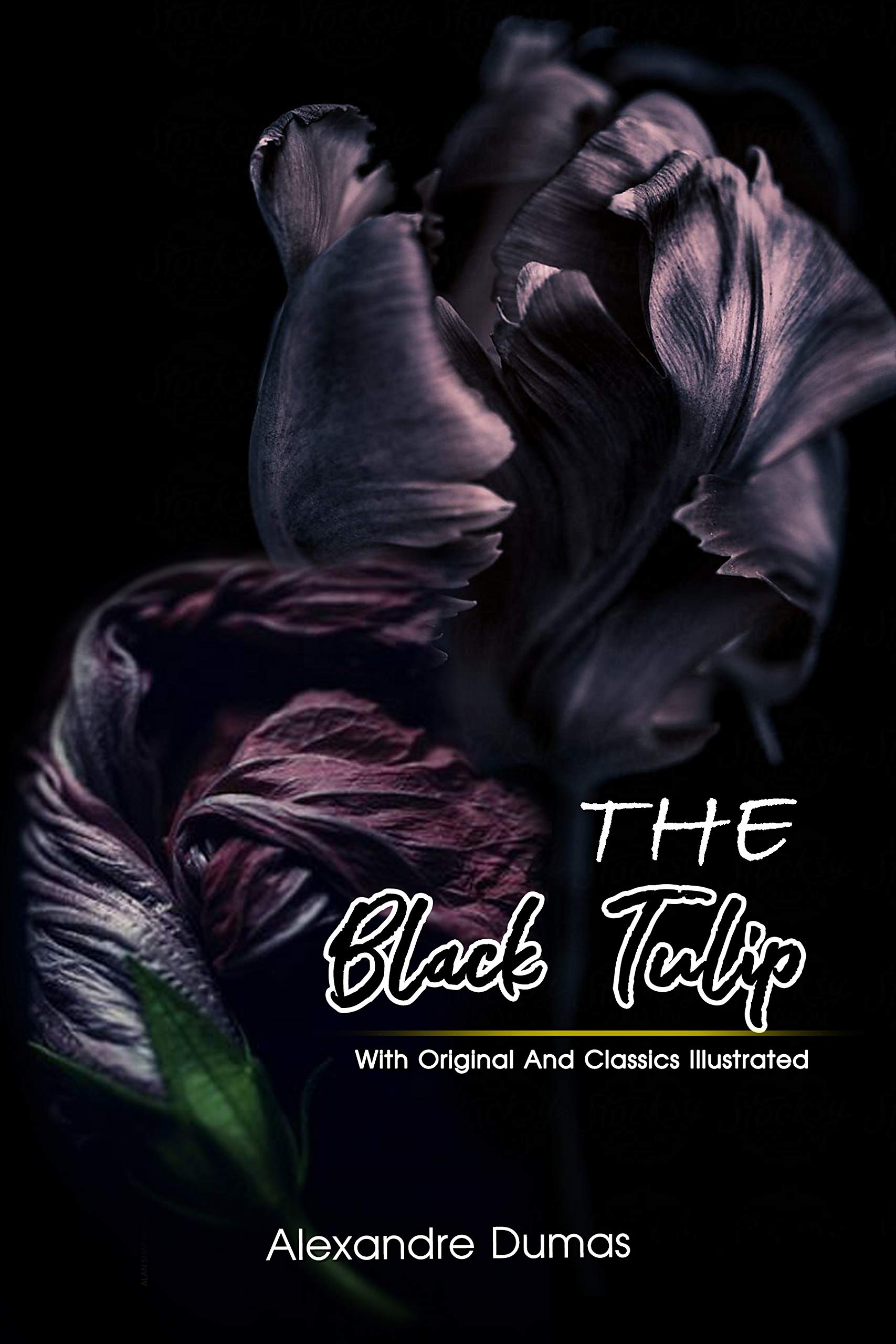 The Black Tulip: ( illustrated ) The Complete Original Classic Novel, Unabridged Classic Edition ...