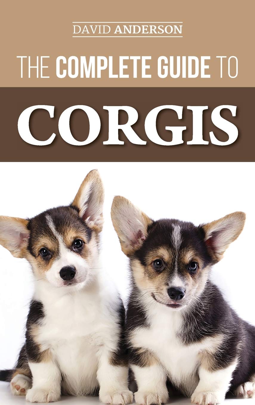 The Complete Guide to Corgis: Everything to Know About Both the ...