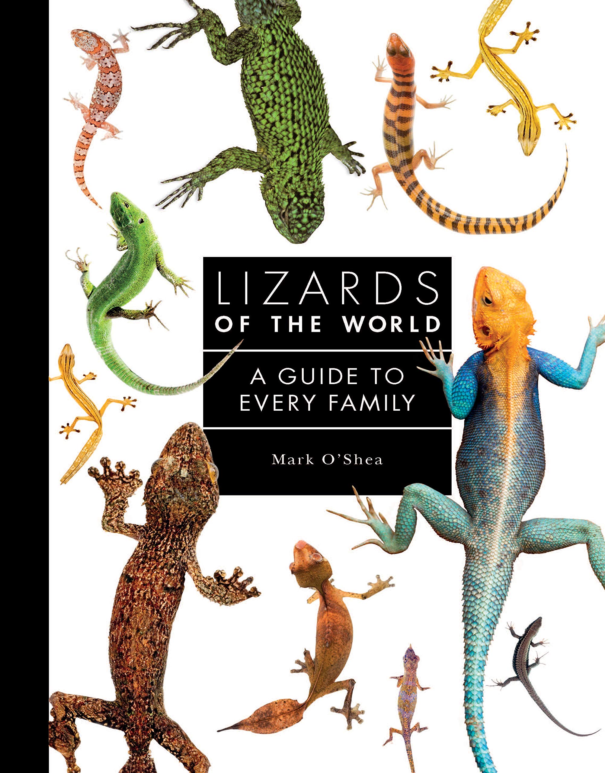 Lizards: A Natural History Guide by Mark O'Shea | Goodreads