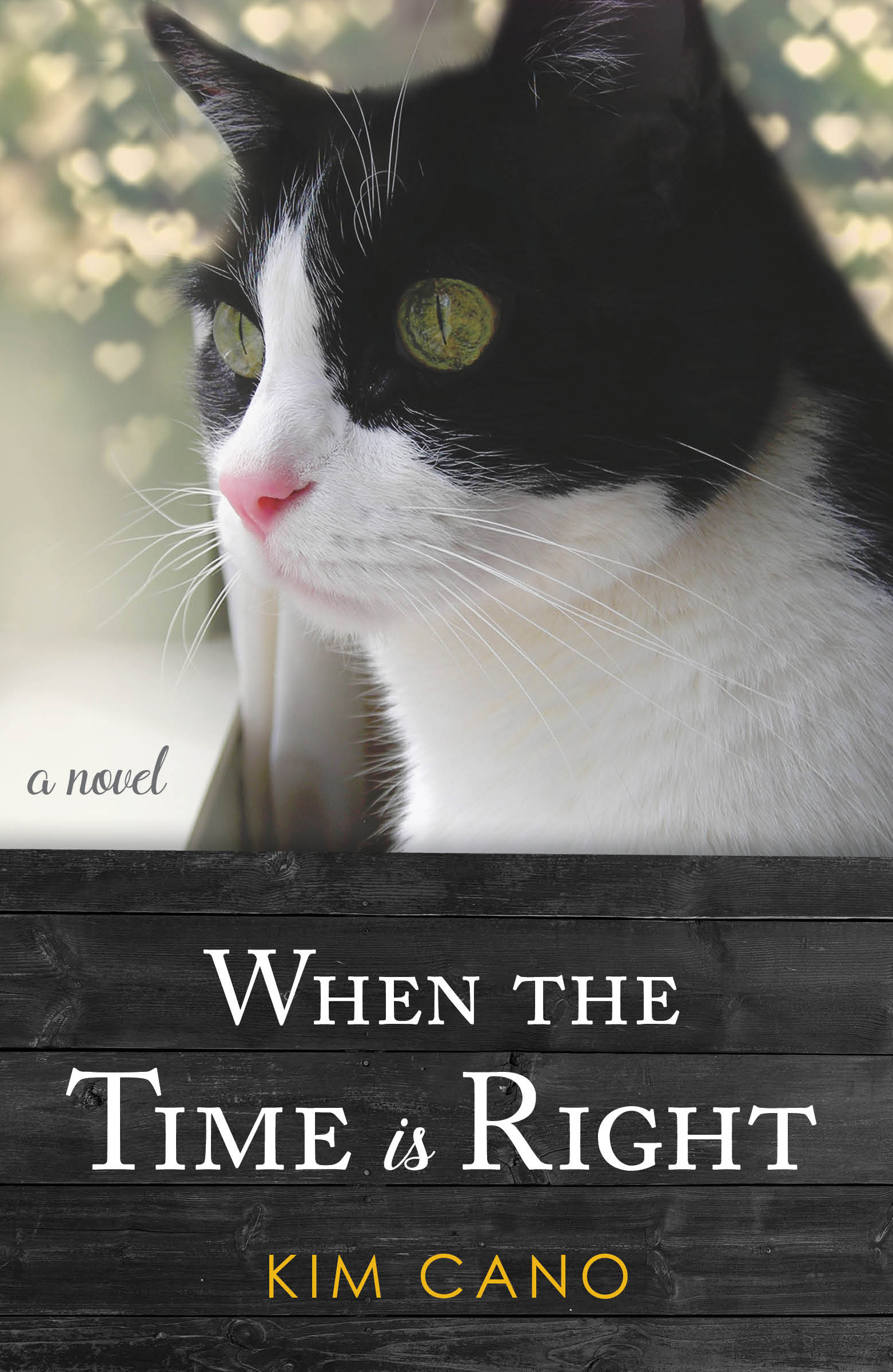 When the Time Is Right by Kim Cano | Goodreads