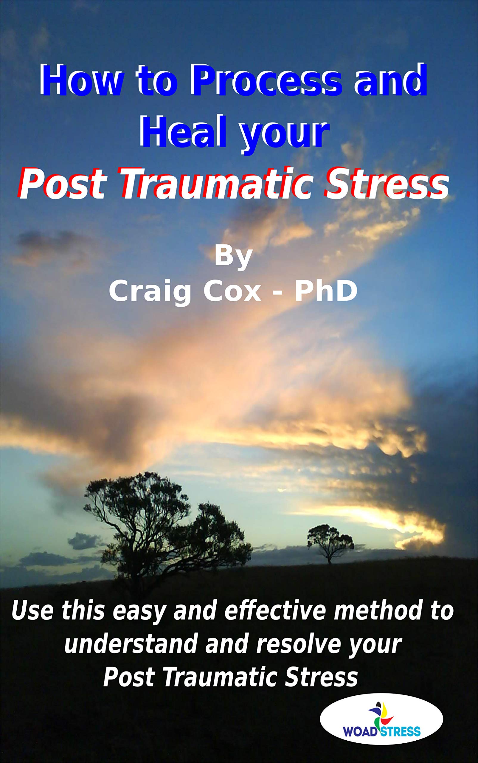 How to Process and Heal your Post Traumatic Stress: Use this Easy and ...