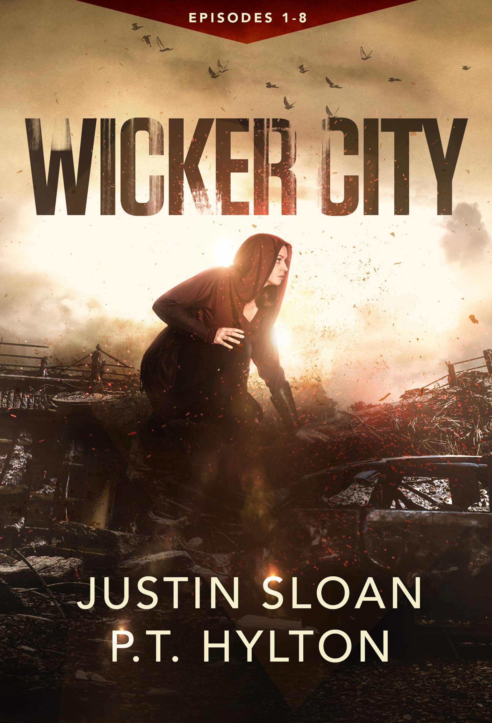 Wicker City by Justin Sloan | Goodreads