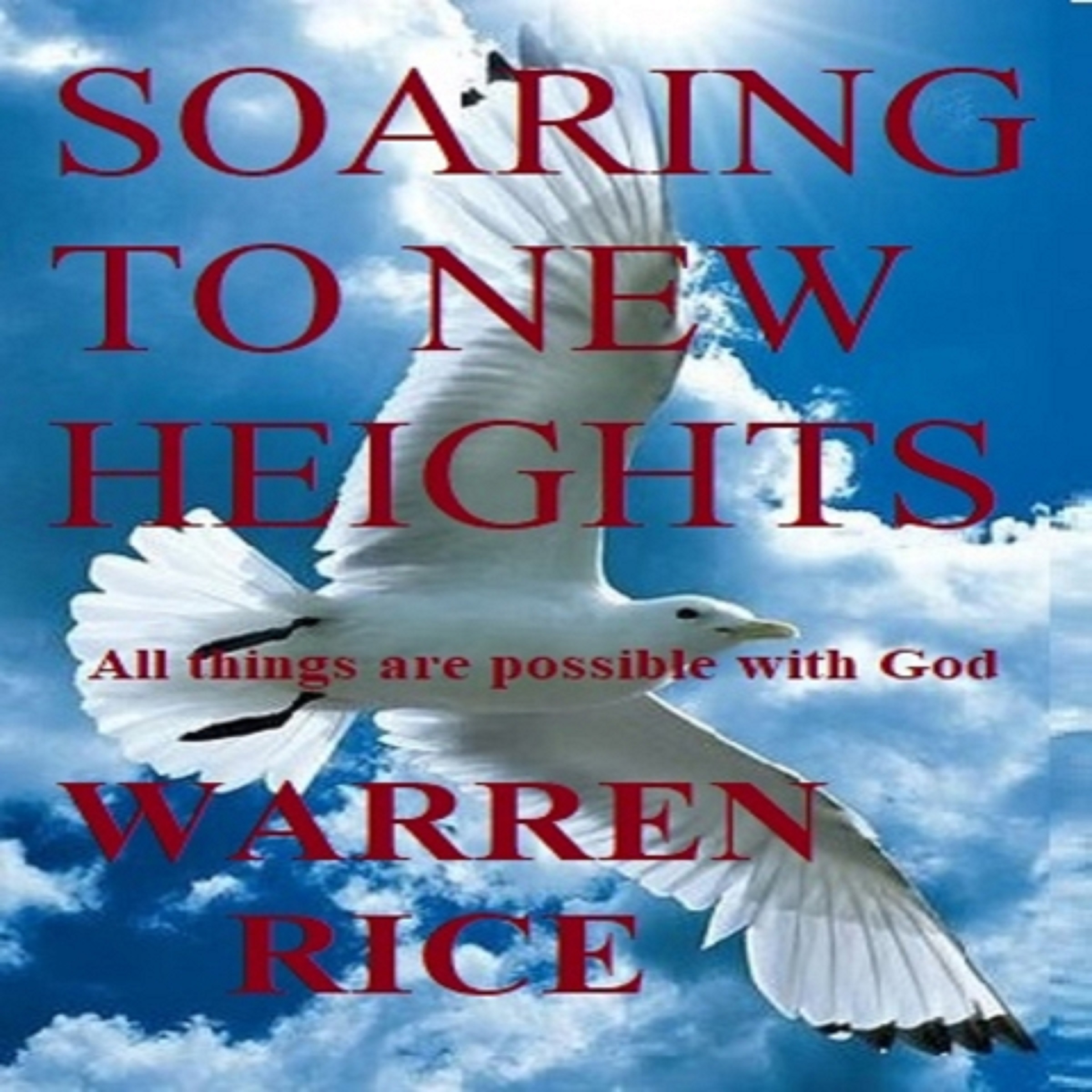 Soaring to New Heights by Warren Rice | Goodreads