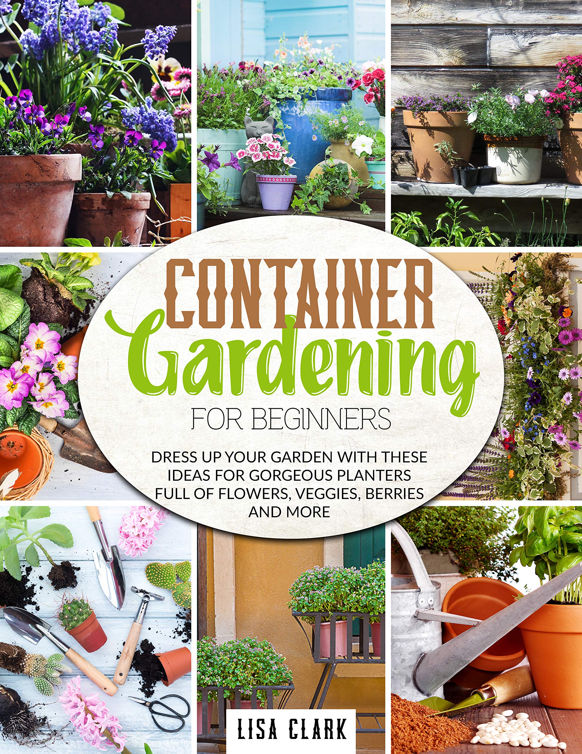 Container gardening for beginners: Dress up your garden with these ...
