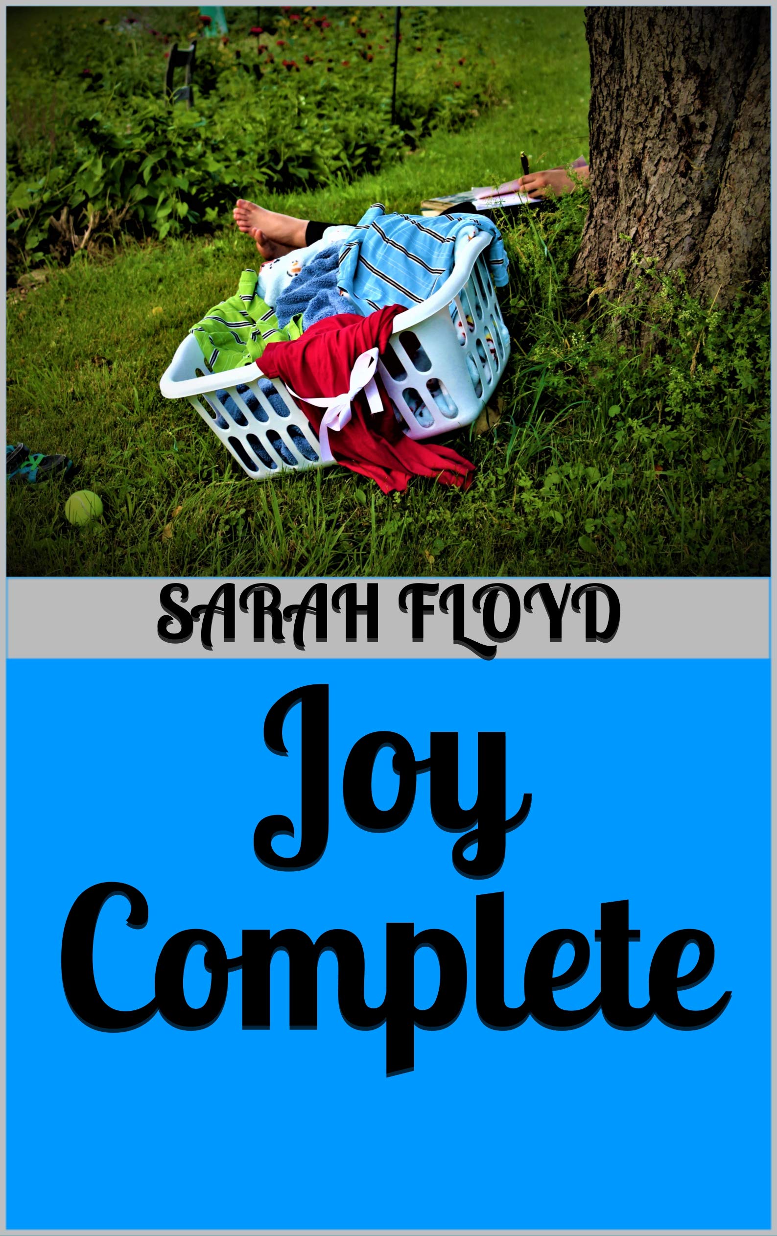 Joy Complete (Voice of Joy Book 3) by Sarah Floyd | Goodreads