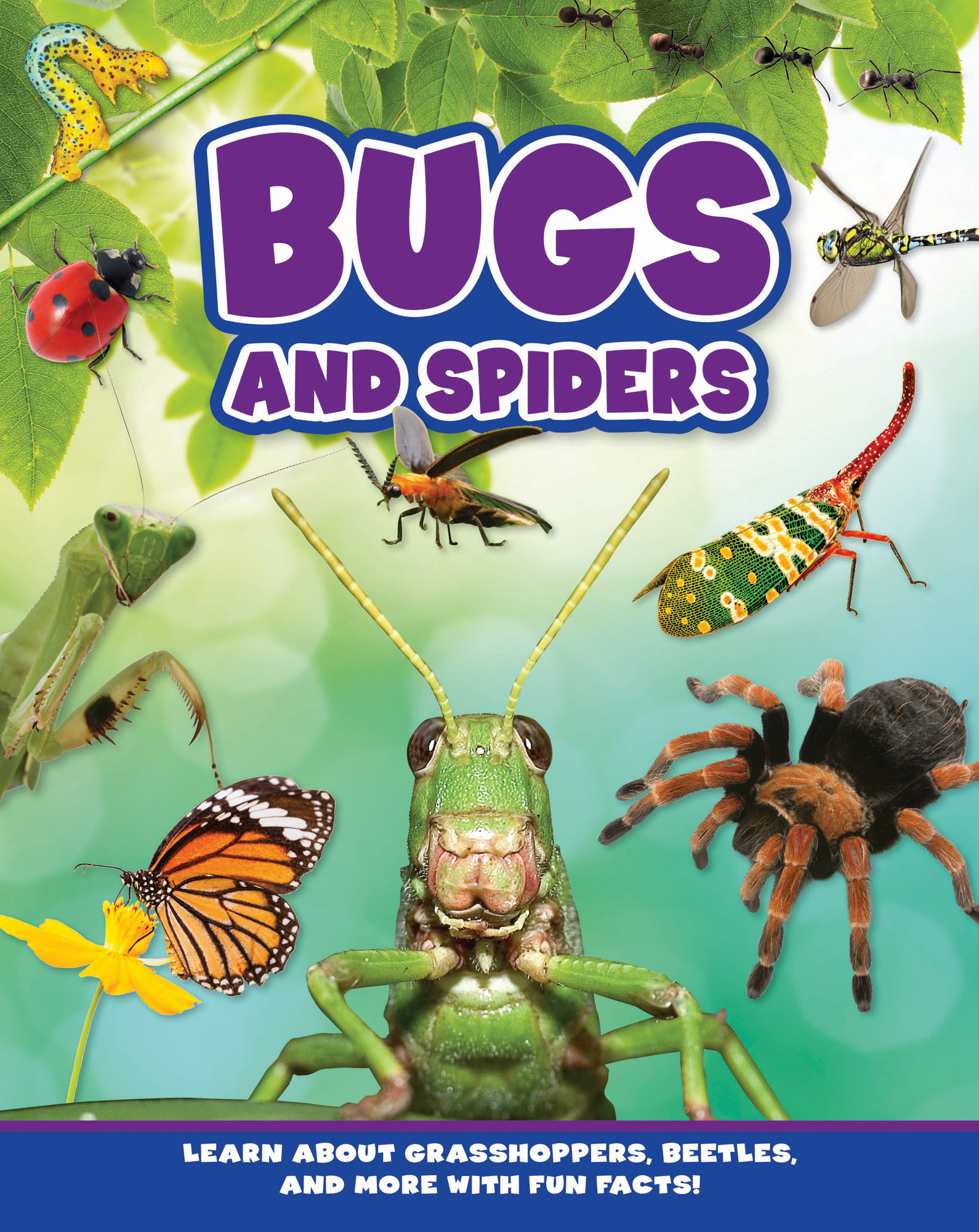 Bugs and Spiders by Flying Frog | Goodreads