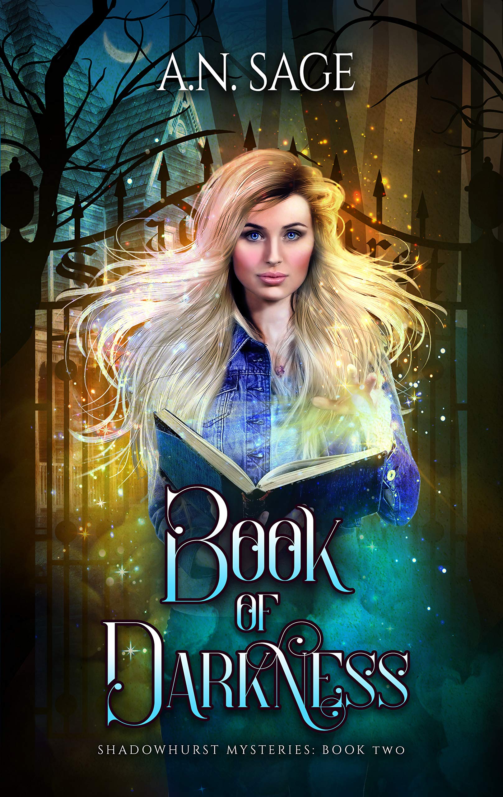 Book of Darkness (Shadowhurst Mysteries #2) by A.N. Sage | Goodreads
