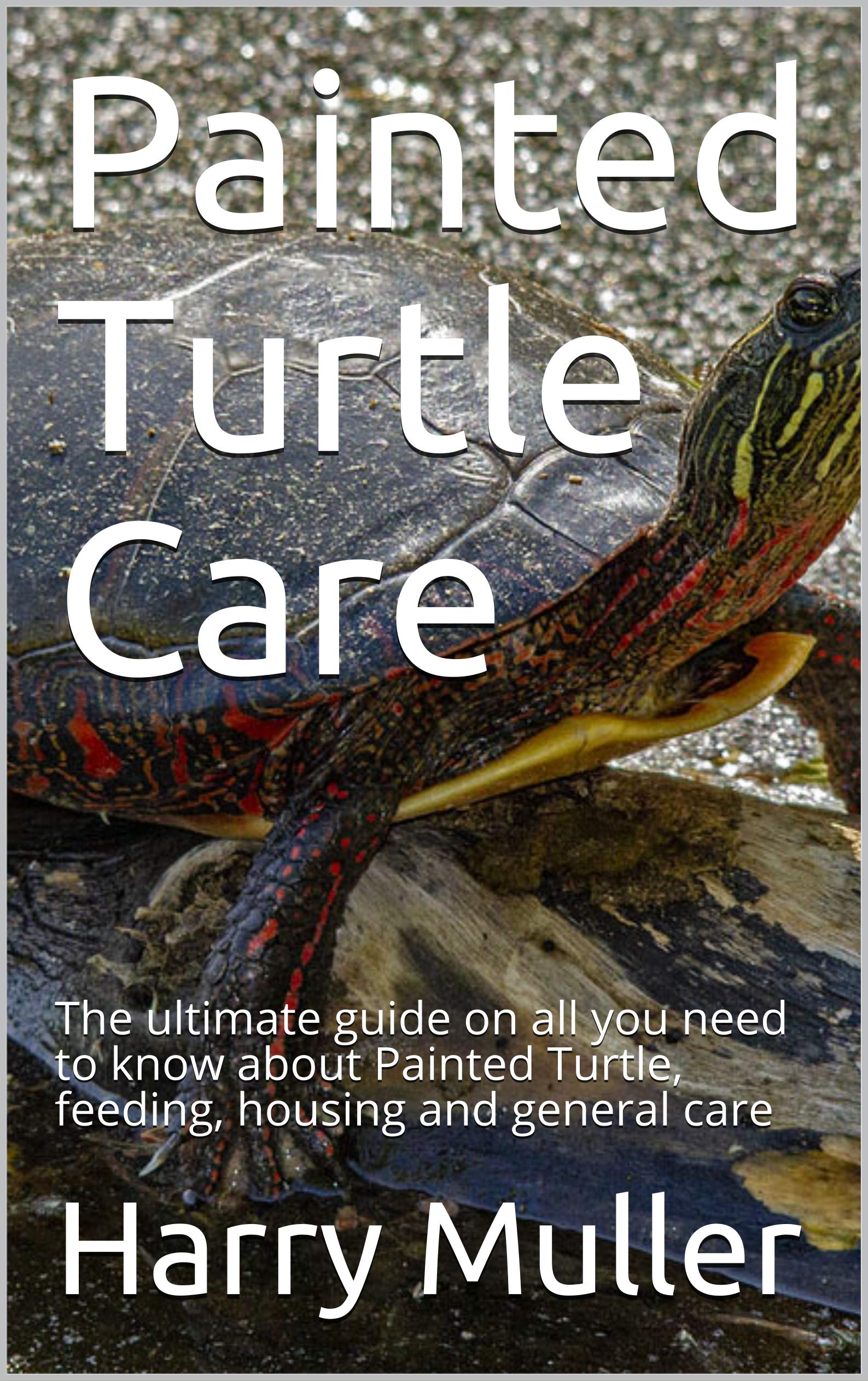 Painted Turtle: The ultimate beginners to pro guide on everything you ...