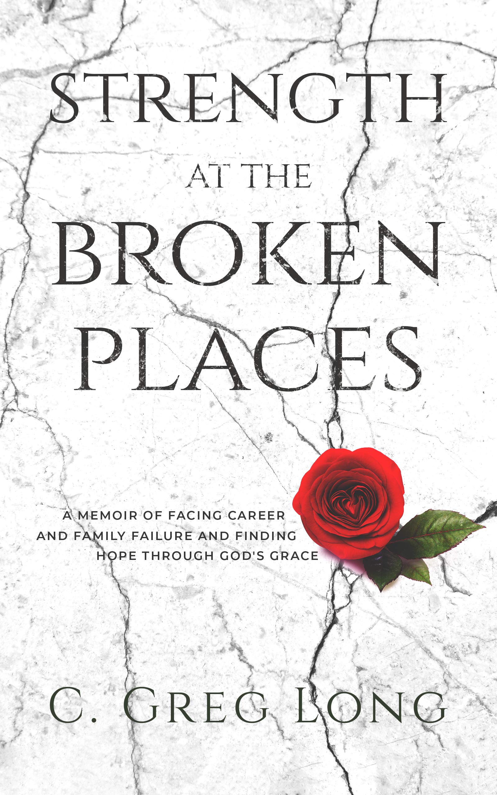 Strength at the Broken Places: A Memoir of Facing Career and Family ...