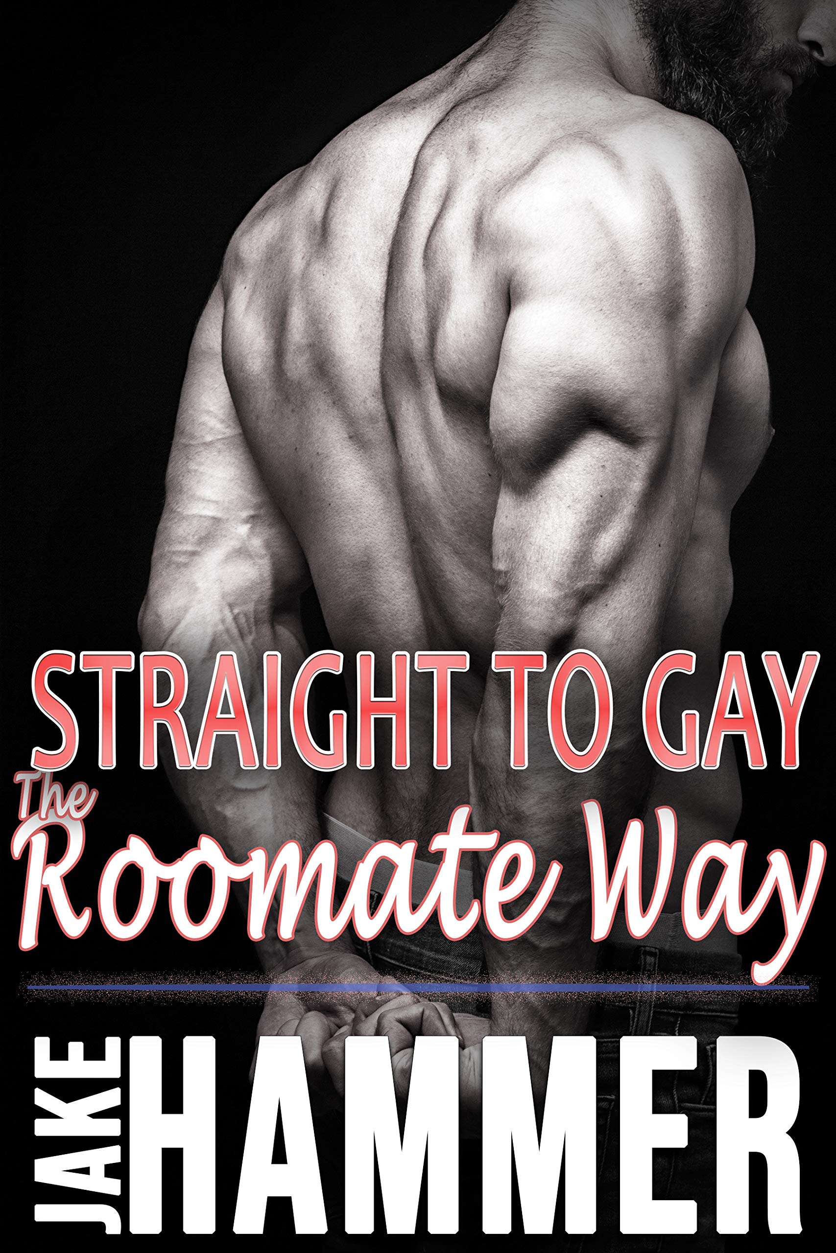 Straight to Gay the Roommate Way by Jake Hammer | Goodreads