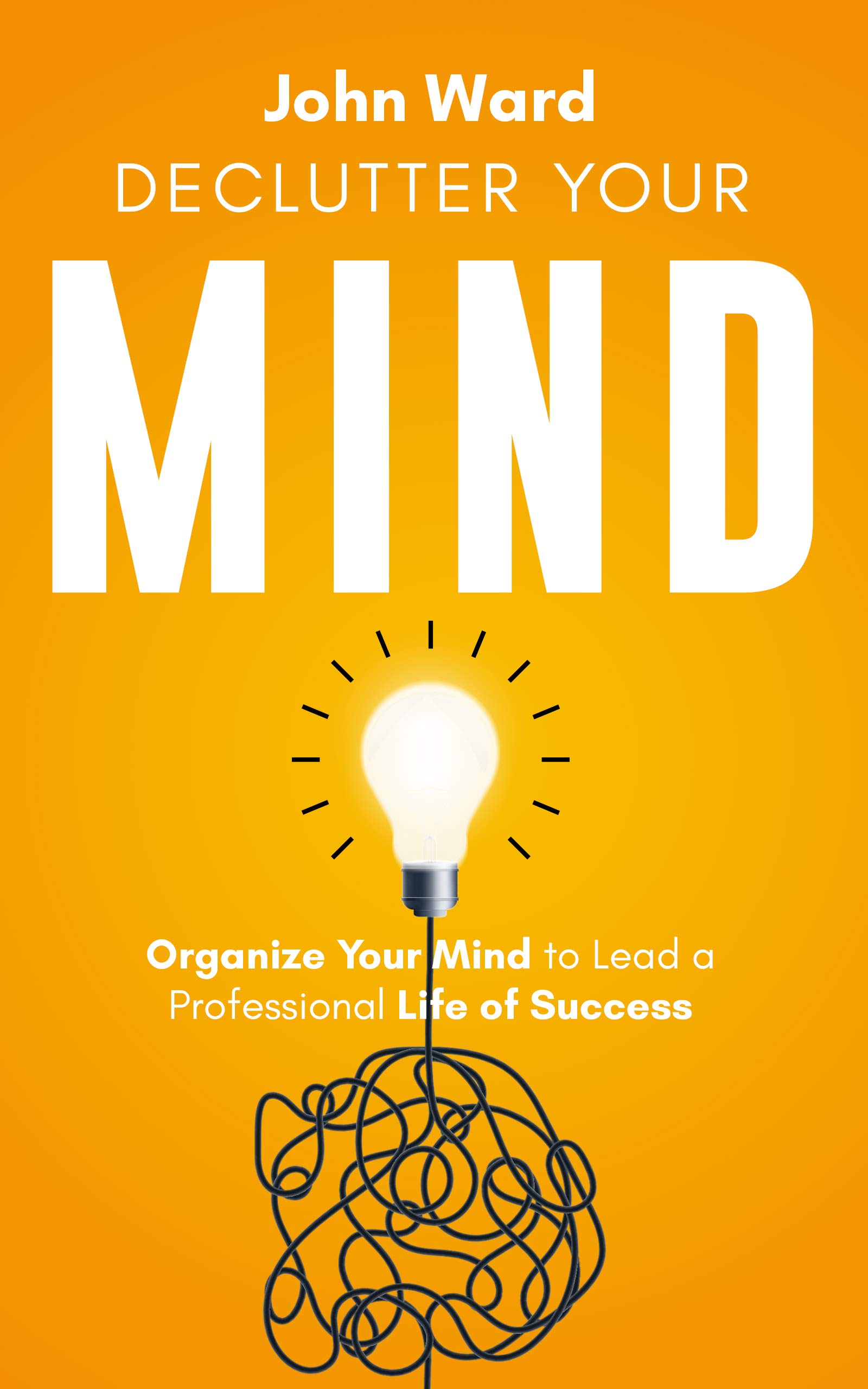 Declutter Your Mind: Organize Your Mind to Lead a Professional Life of ...
