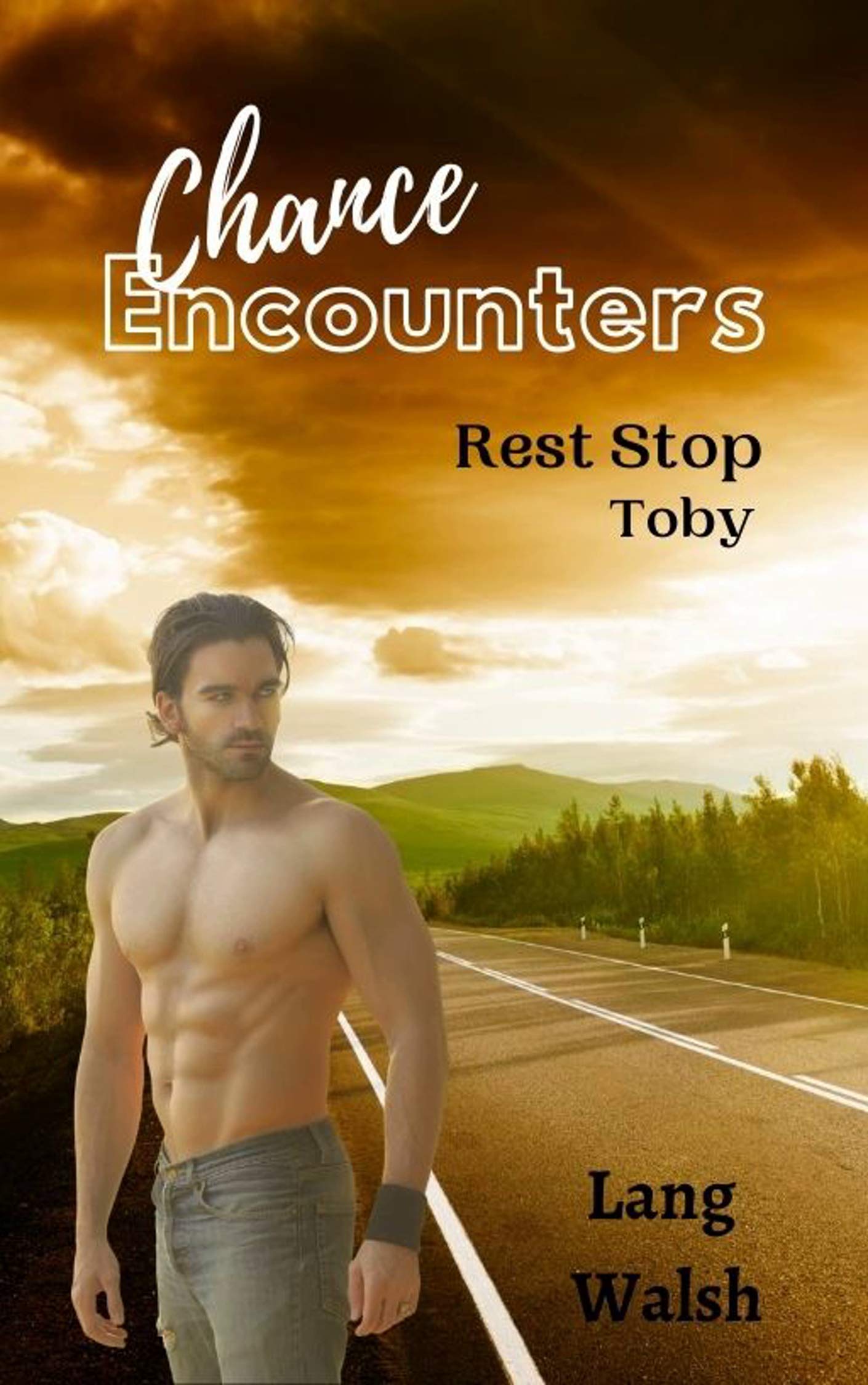 Chance Encounters: Rest Stop (Toby Book 2) by Lang Walsh | Goodreads