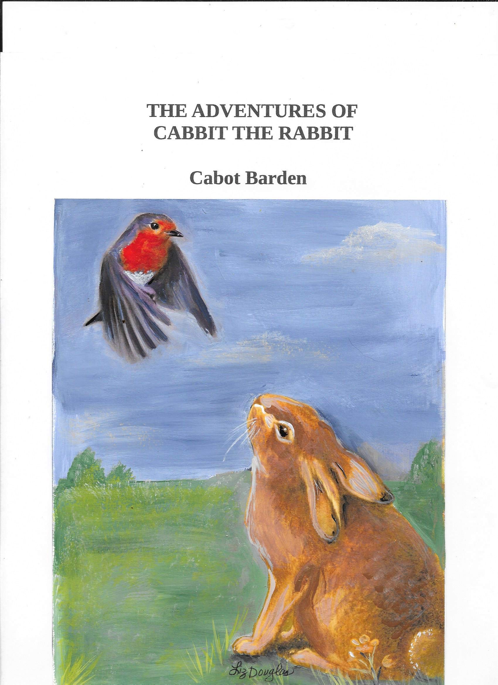 The Adventures of Cabbit The Rabbit by Cabot Barden | Goodreads