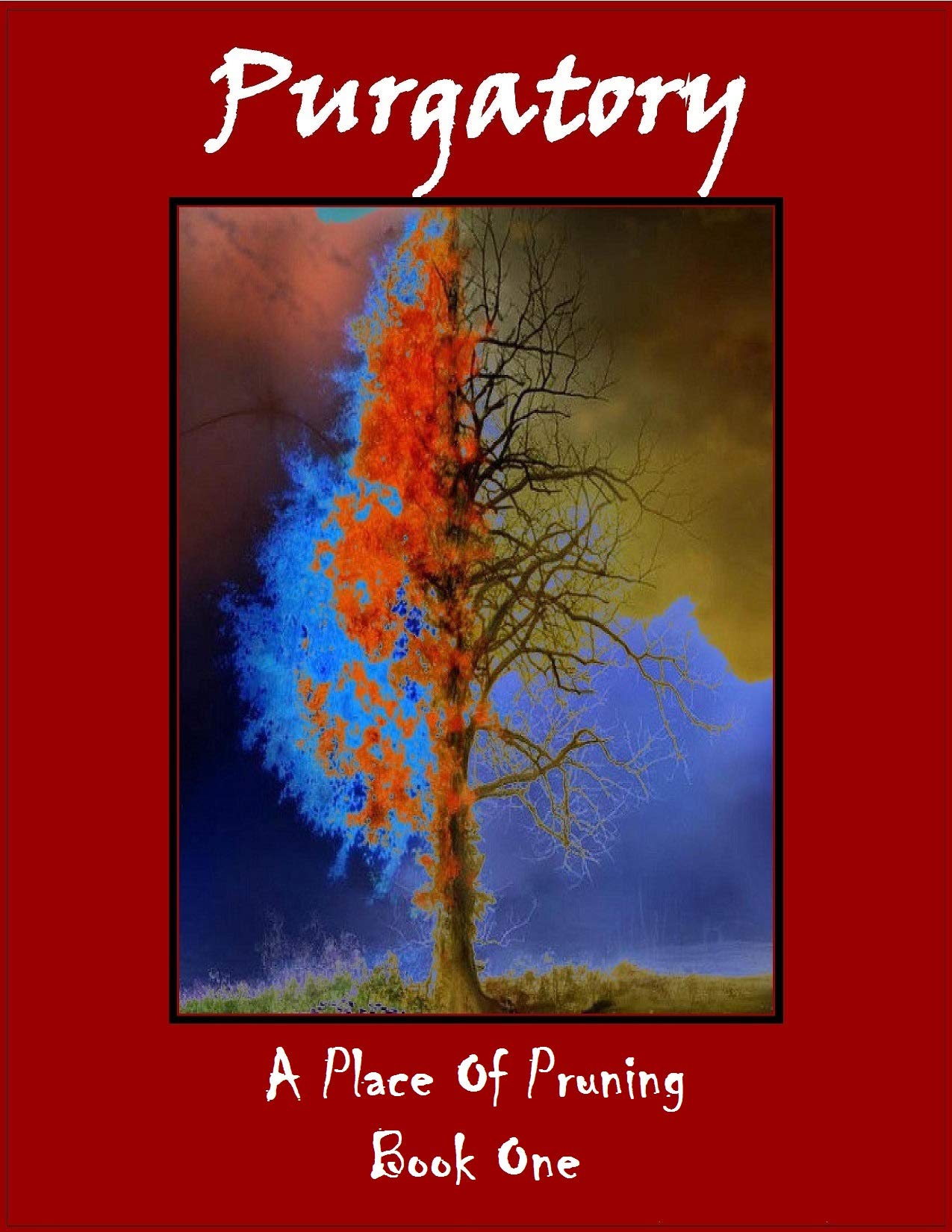Purgatory; A place of pruning Book 1: Shaylee Escapes Hell by John M ...