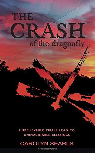 The Crash of the Dragonfly: Unbelievable Trials Lead to Unimaginable ...