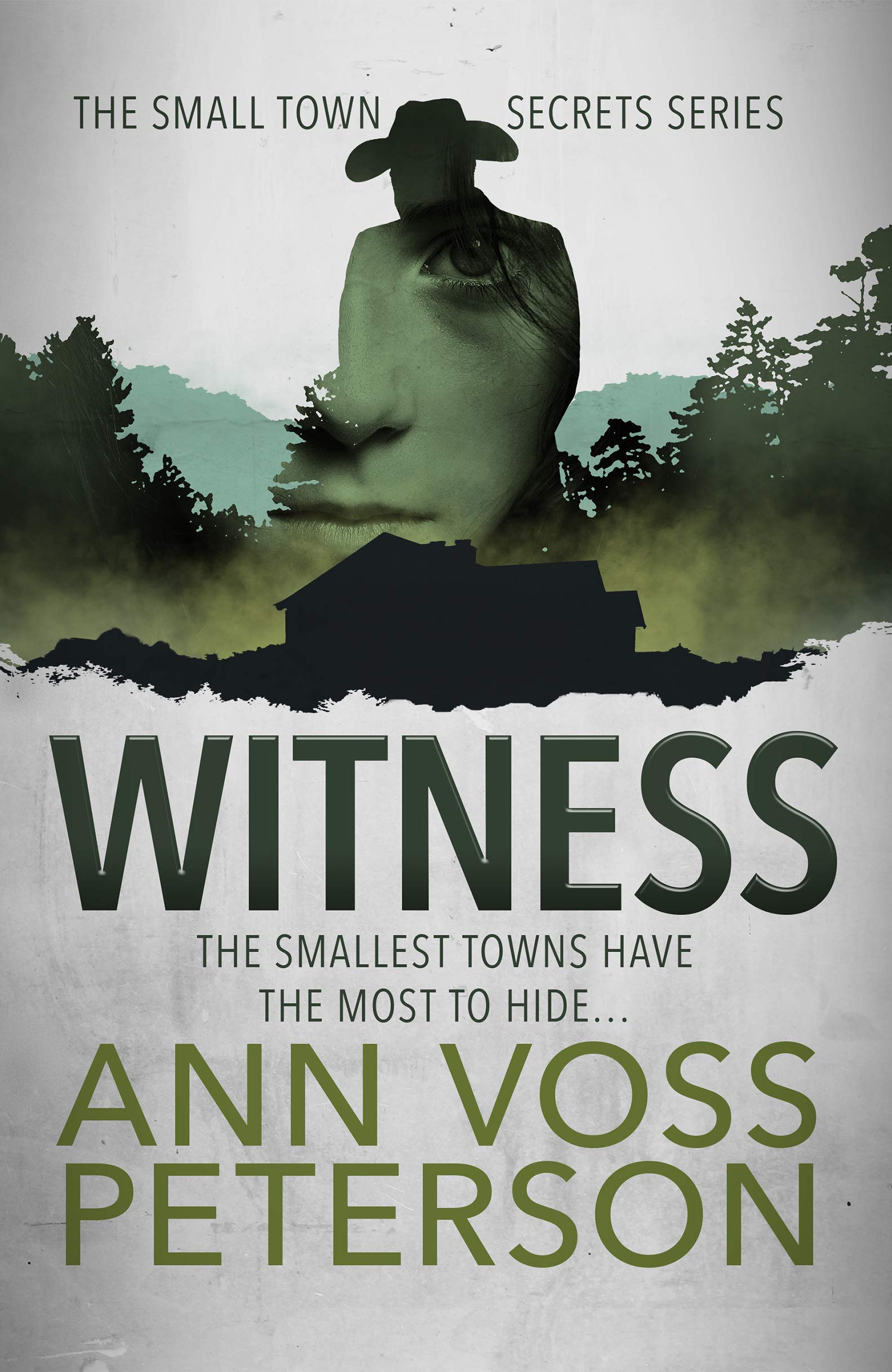 Witness (Small Town Secrets: Scandals #1) by Ann Voss Peterson | Goodreads