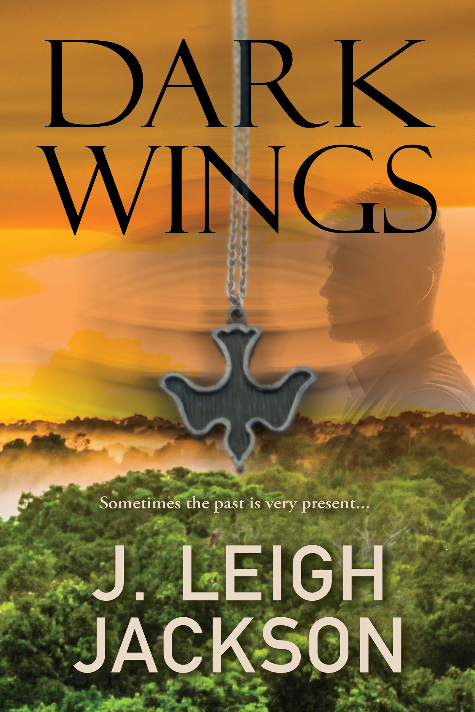 Dark Wings by J. Leigh Jackson | Goodreads