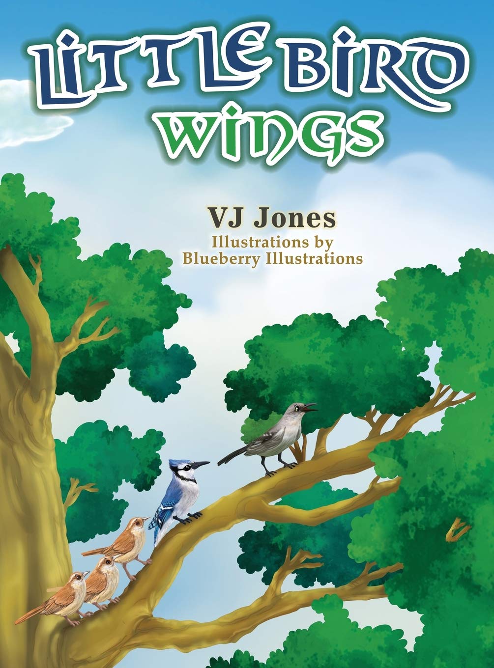 Little Bird Wings by V.J. Jones | Goodreads