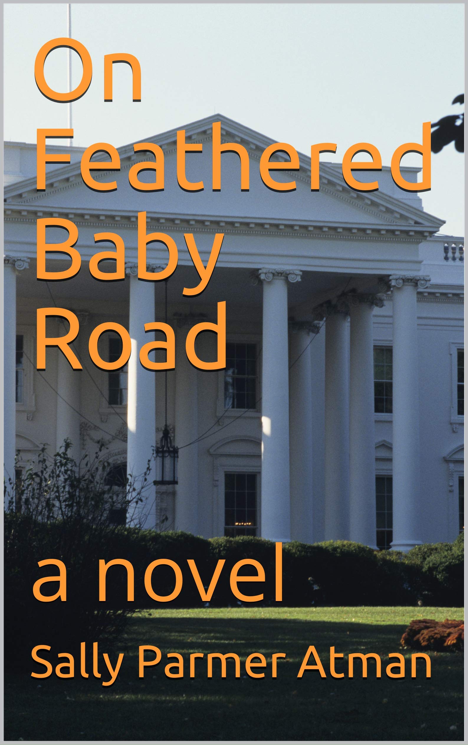 On Feathered Baby Road: a novel by Sally Parmer Atman | Goodreads