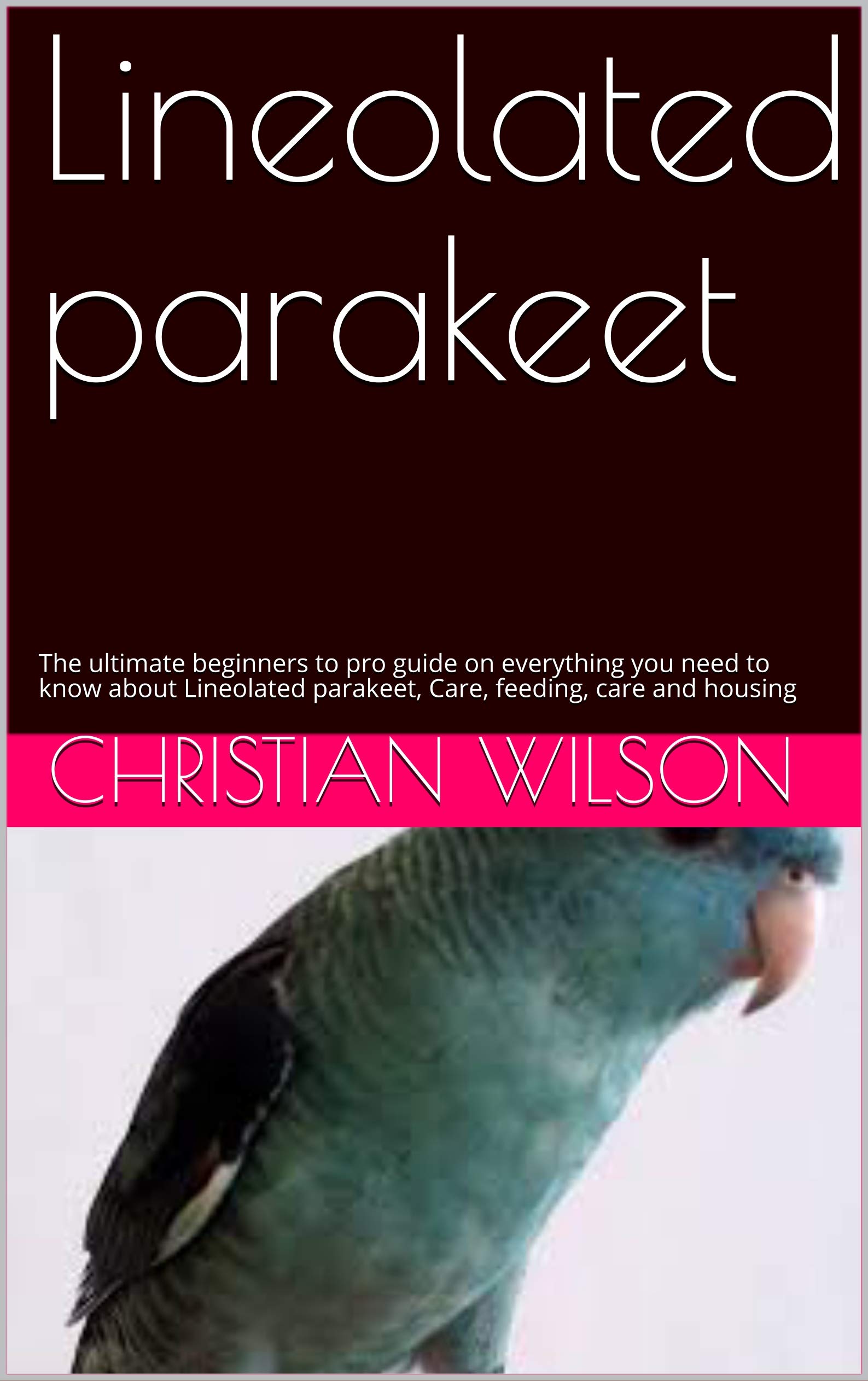 Lineolated parakeet: The ultimate beginners to pro guide on everything ...