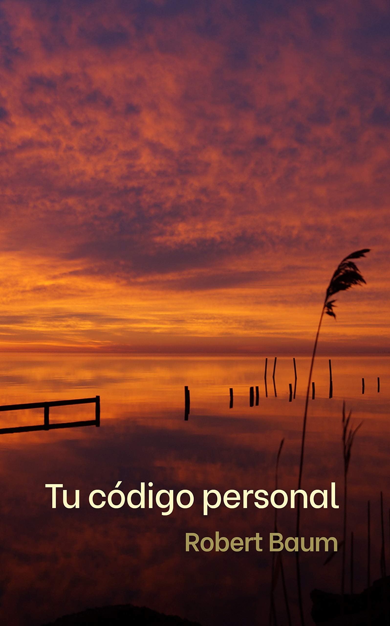 TU CÓDIGO PERSONAL: Para qué te buscan las personas (Trilogía Tu código ...