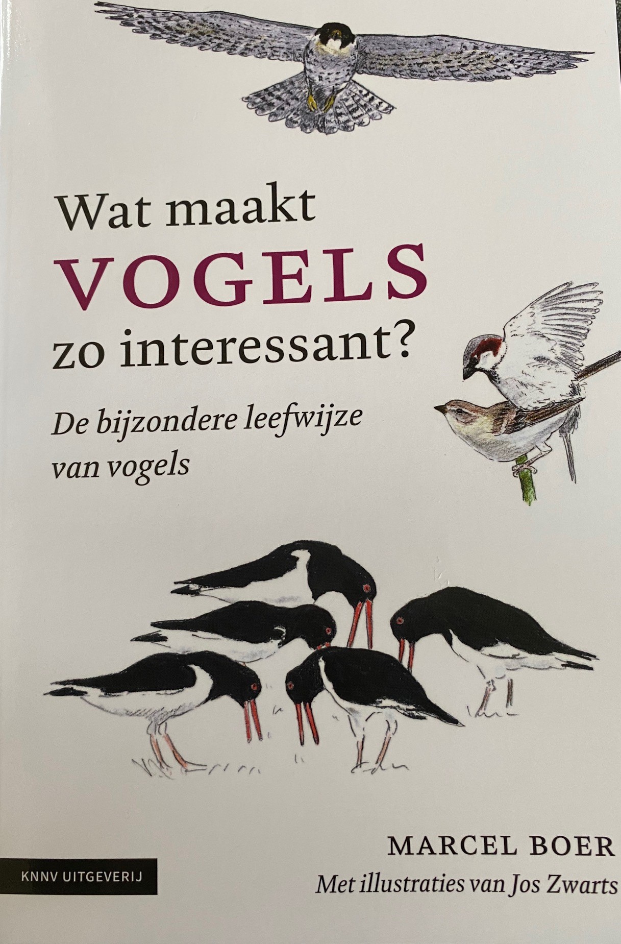 Wat maakt vogels zo interessant? by Marcel Boer | Goodreads