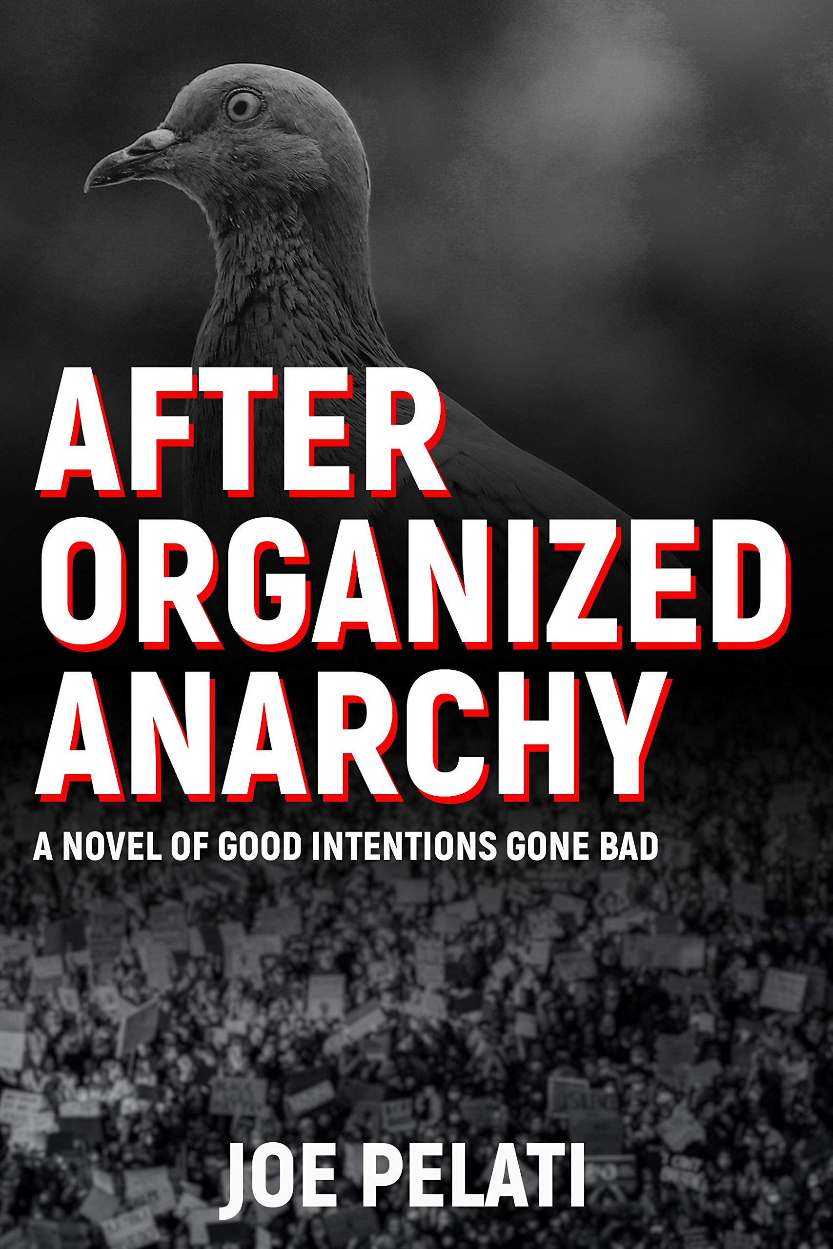 After Organized Anarchy: ...a novel of good intentions gone bad... by ...