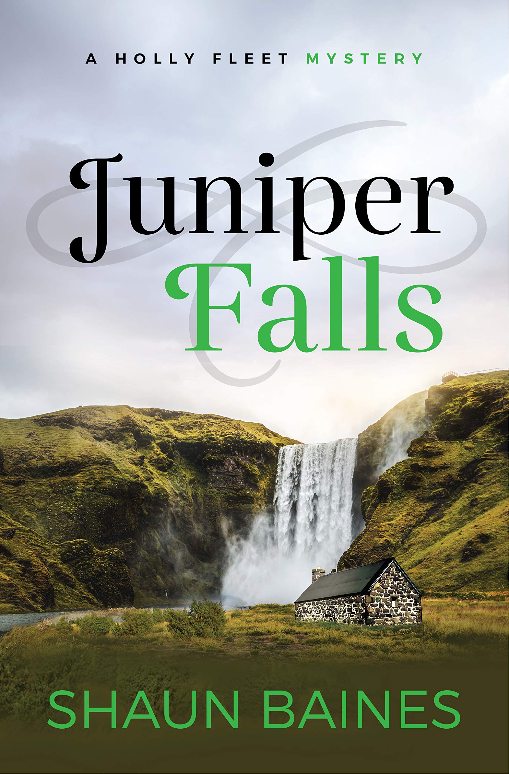 Juniper Falls (Holly Fleet #2) by Shaun Baines | Goodreads