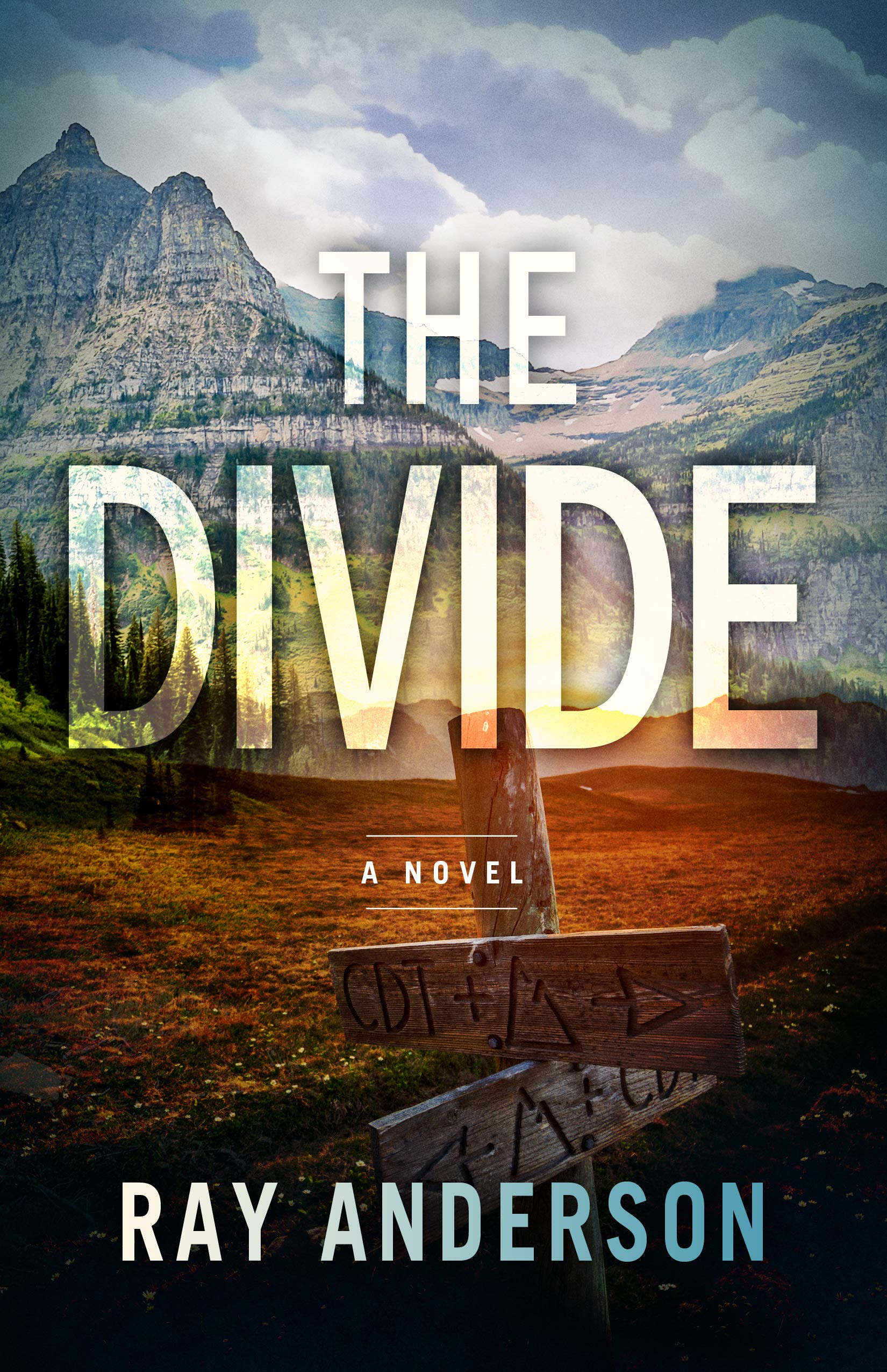 The Divide: An AWOL Thriller Book 3 by Ray Anderson | Goodreads