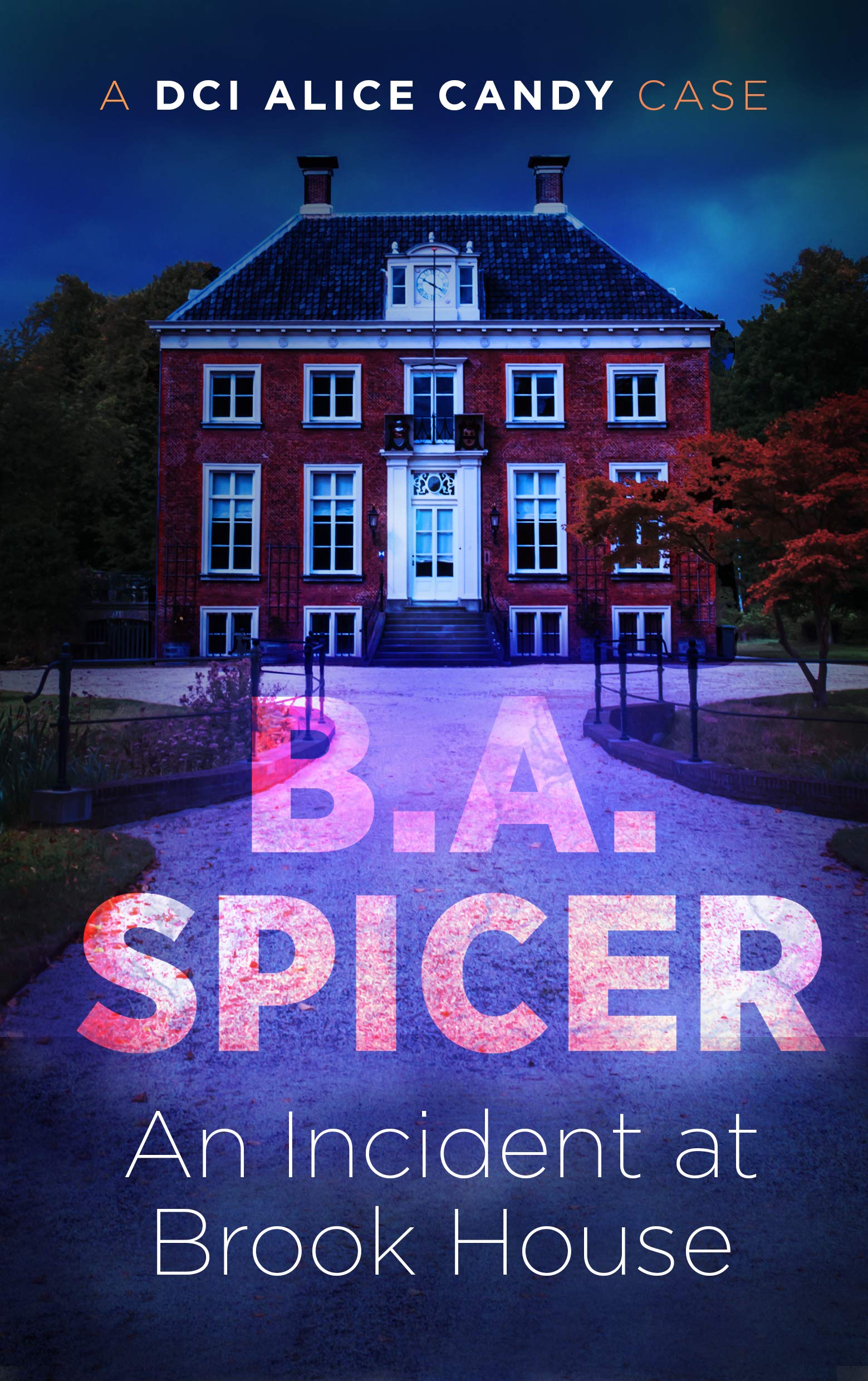 An Incident at Brook House (DCI Alice Candy Book 3) by B.A. Spicer ...