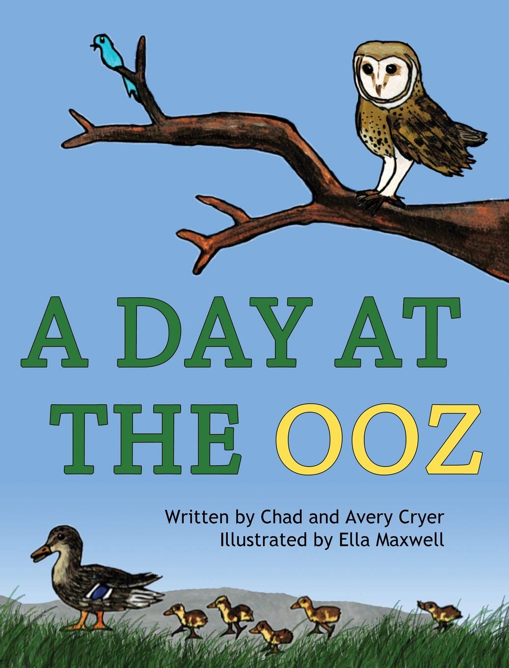 A Day at the OOZ by Chad Cryer | Goodreads