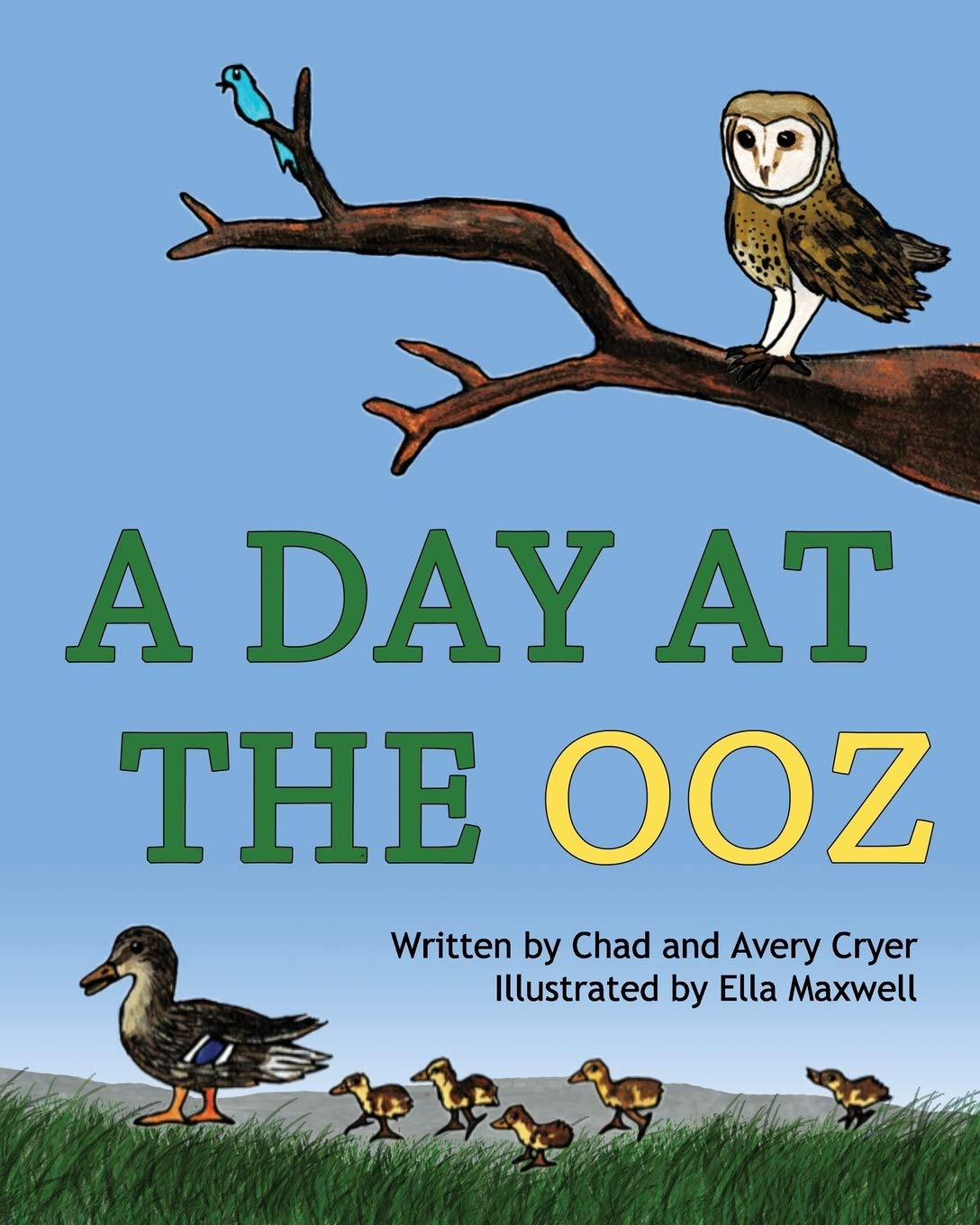 A Day at the OOZ by Chad Cryer | Goodreads