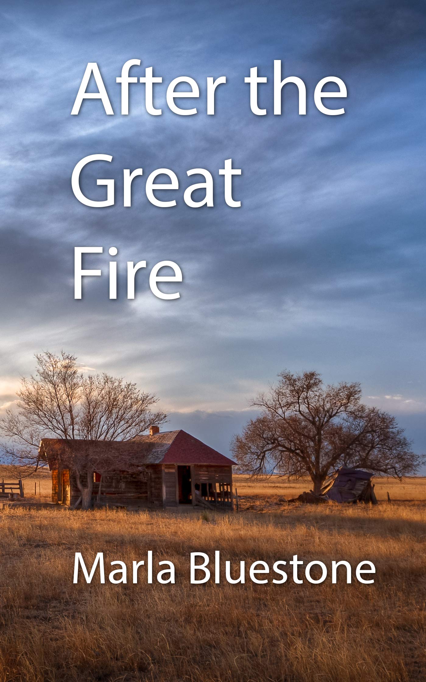 After the Great Fire by Marla Bluestone | Goodreads