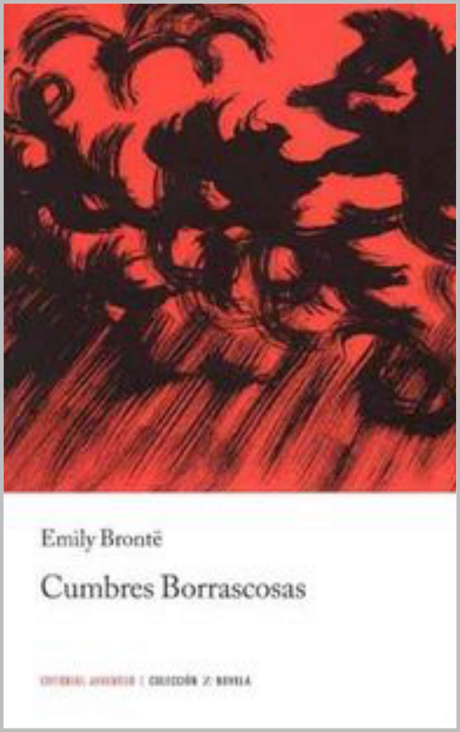 CUMBRES BORRASCOSAS by Emily Brontë | Goodreads