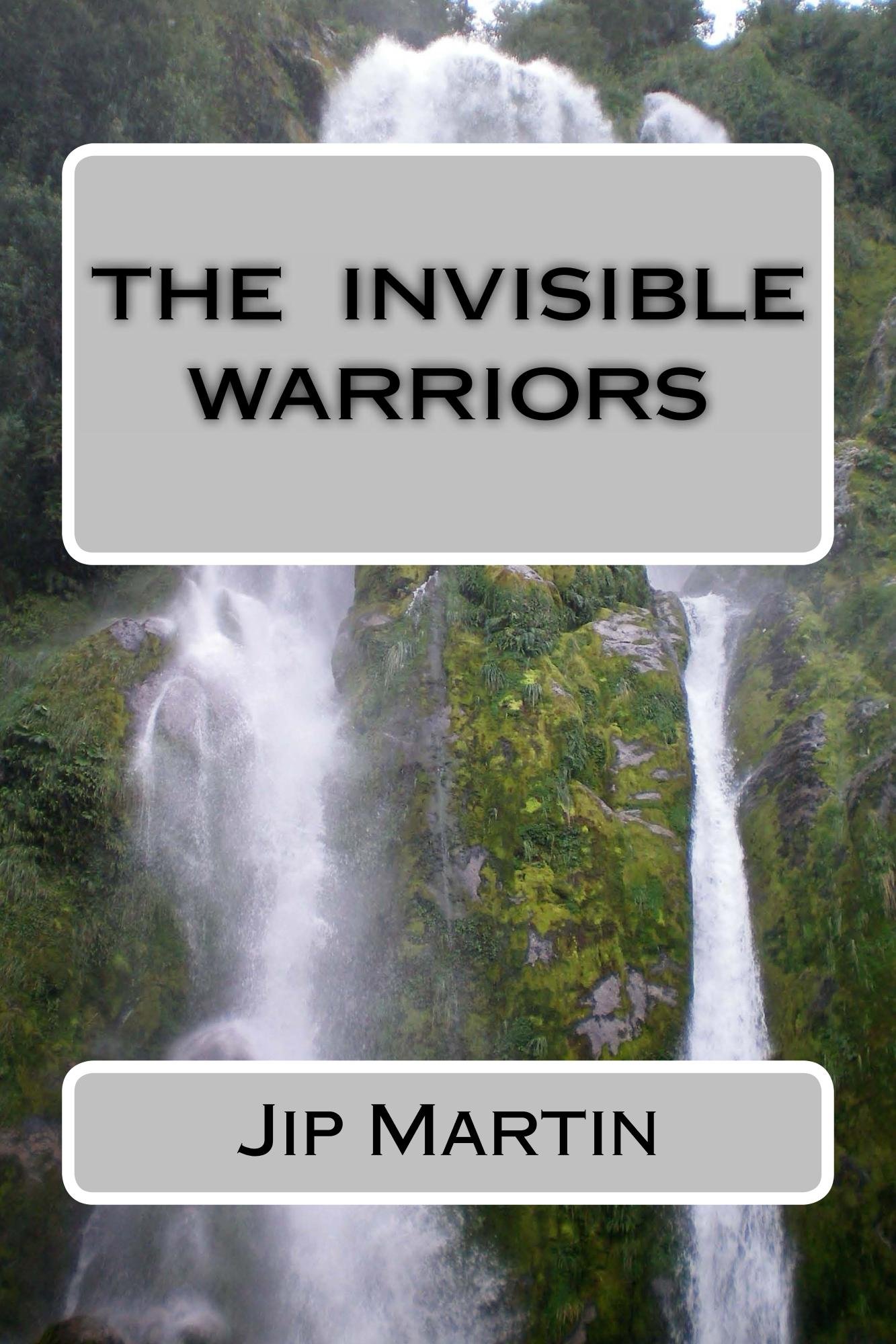 The Invisible Warriors by Jip Martin | Goodreads